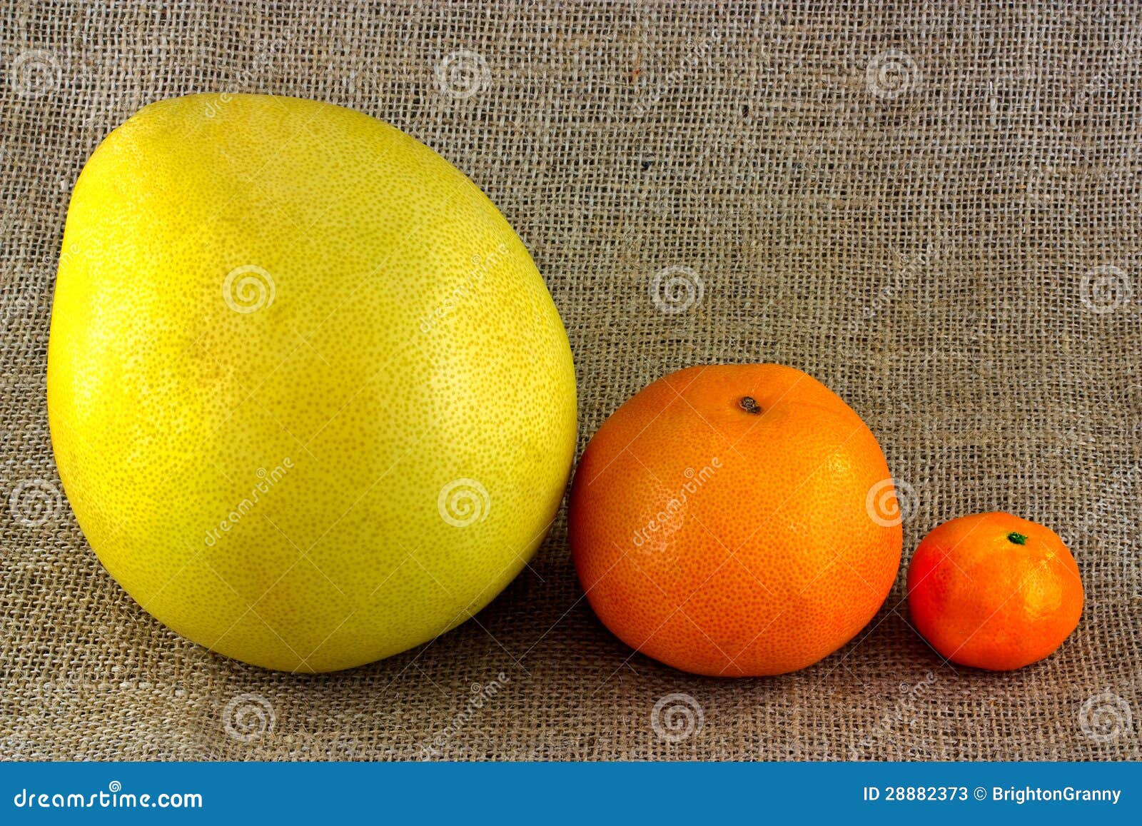 Various Sized Citrus Fruit. Stock Image - Image of produce, ripe: 28882373