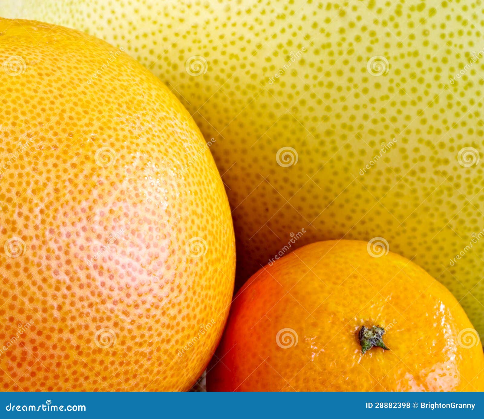 Closeup of citrus fruit stock photo. Image of freshness - 28882398