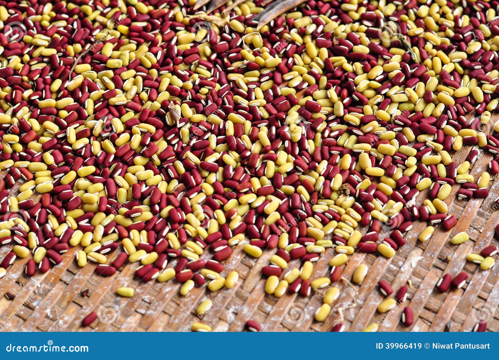 Various color seed stock image. Image of brown, ingredient - 39966419