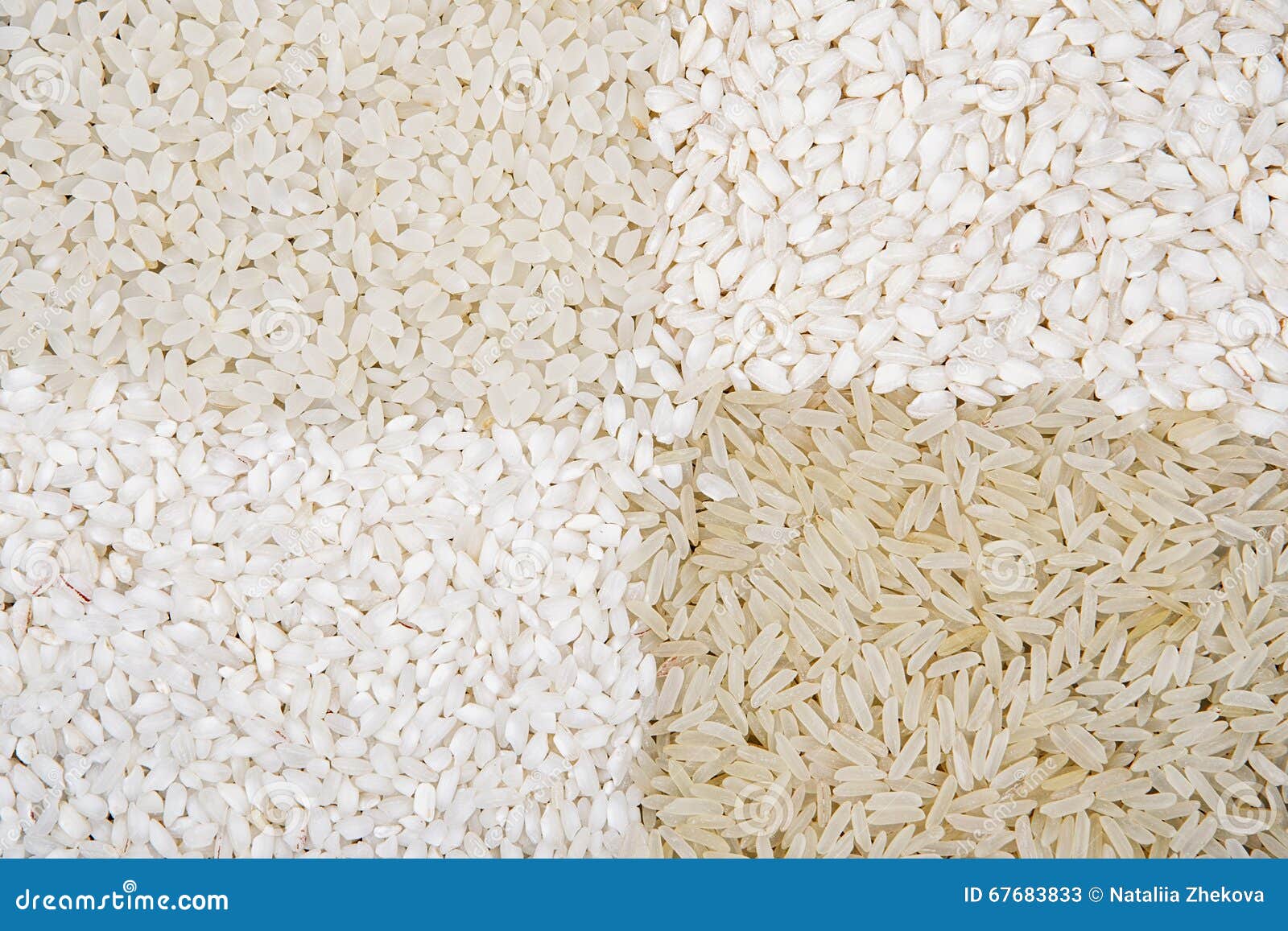 Various Color and Shape Varieties of Rice Stock Image - Image of indian ...