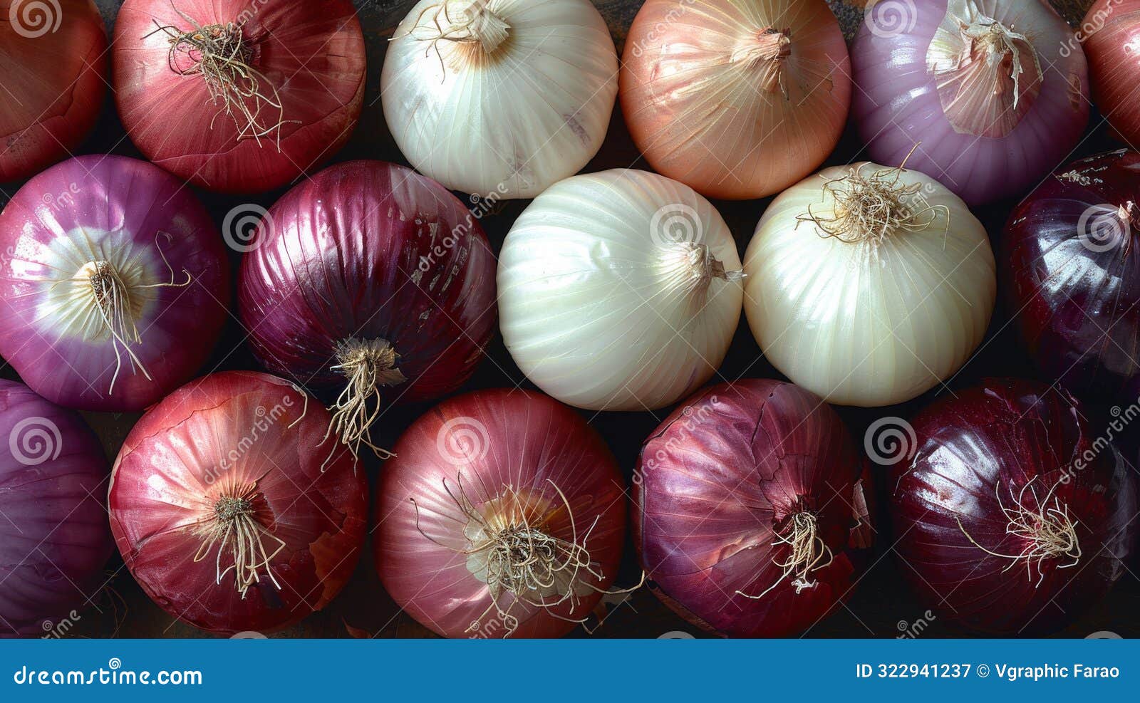 Various Colored Onions Arranged in Rows, Top View. Fresh Produce and ...