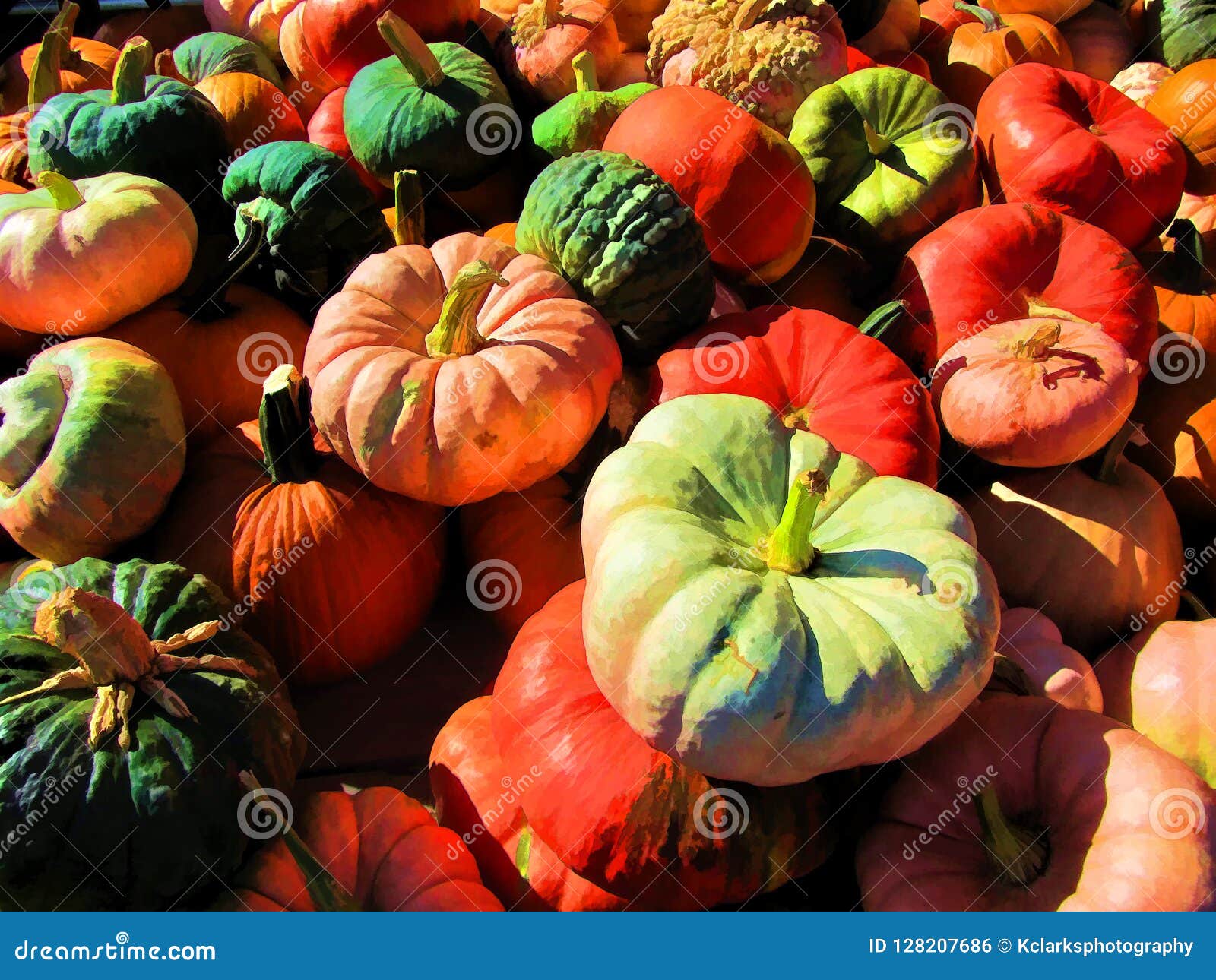 Various Colorful Fall Colored Pumpkins Digitally Painted Stock Photo ...