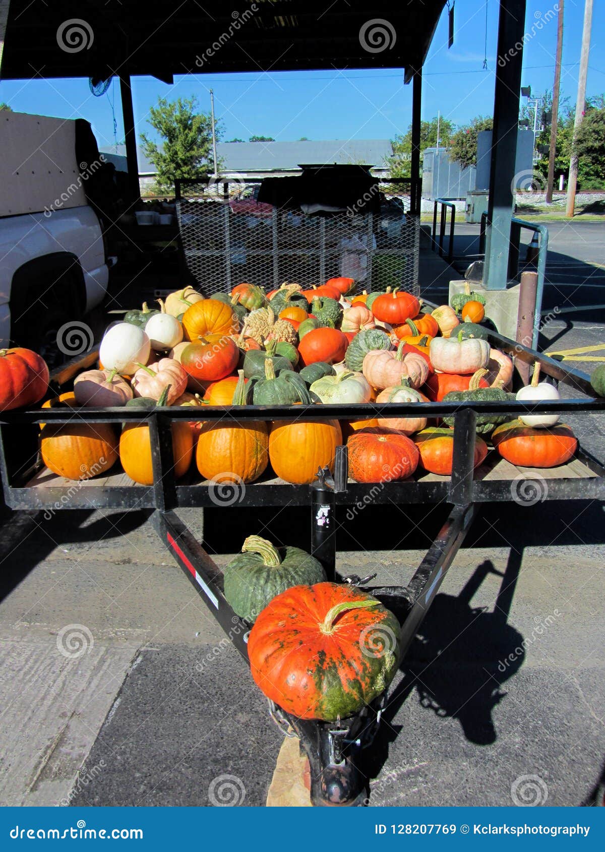 Various Colorful Fall Colored Pumpkins Stock Image - Image of ...