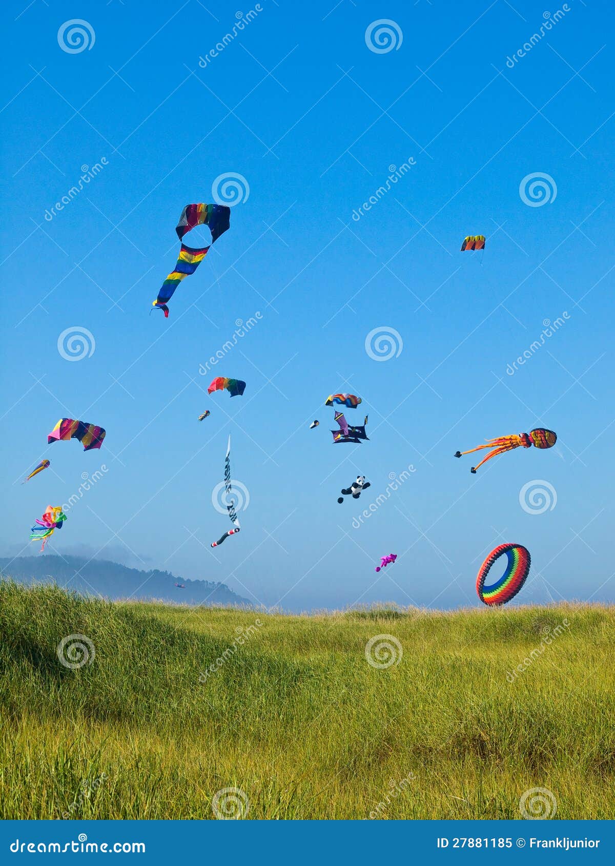 Various Colorful Kites Flying Stock Image - Image of festival, kite ...