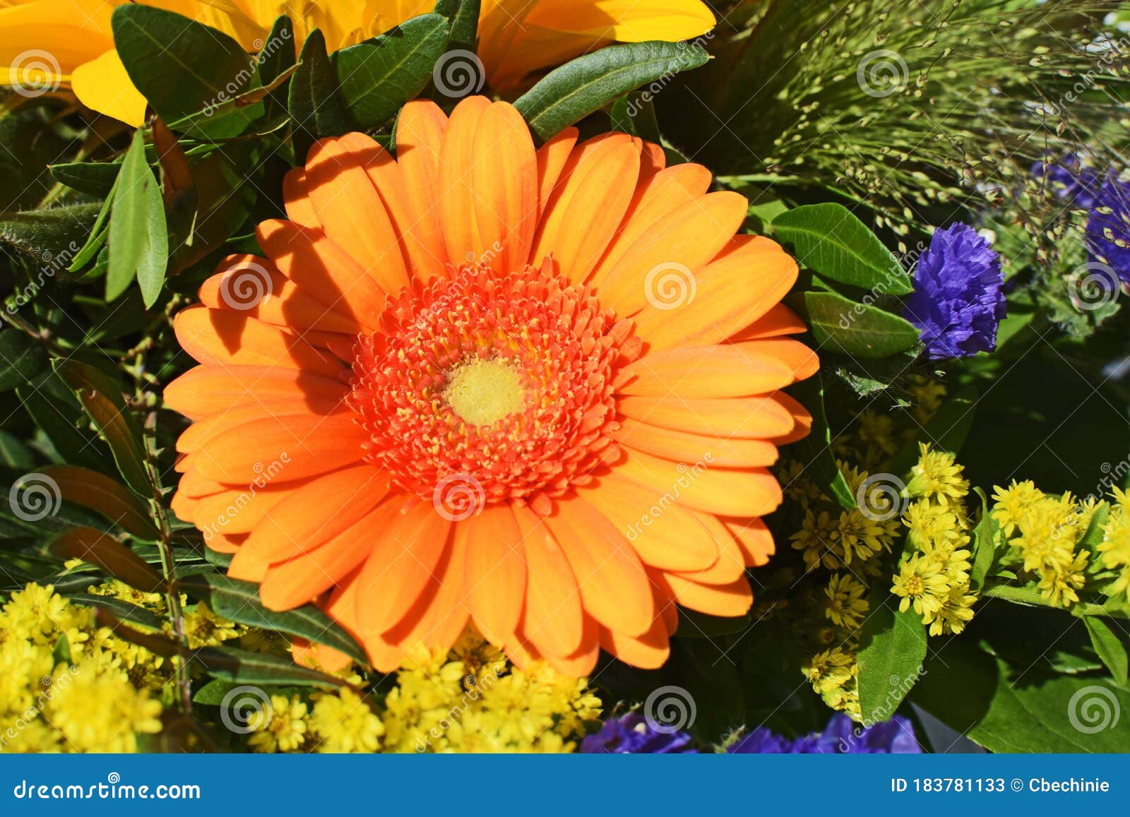 Various Colorful Summer Flowers in a Bouquet Stock Image - Image of ...
