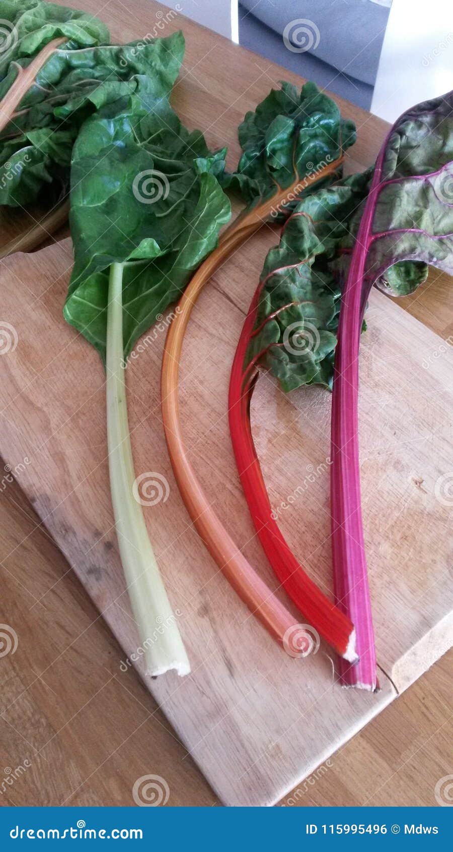 Colorful Chards stock photo. Image of chards, colorful - 115995496