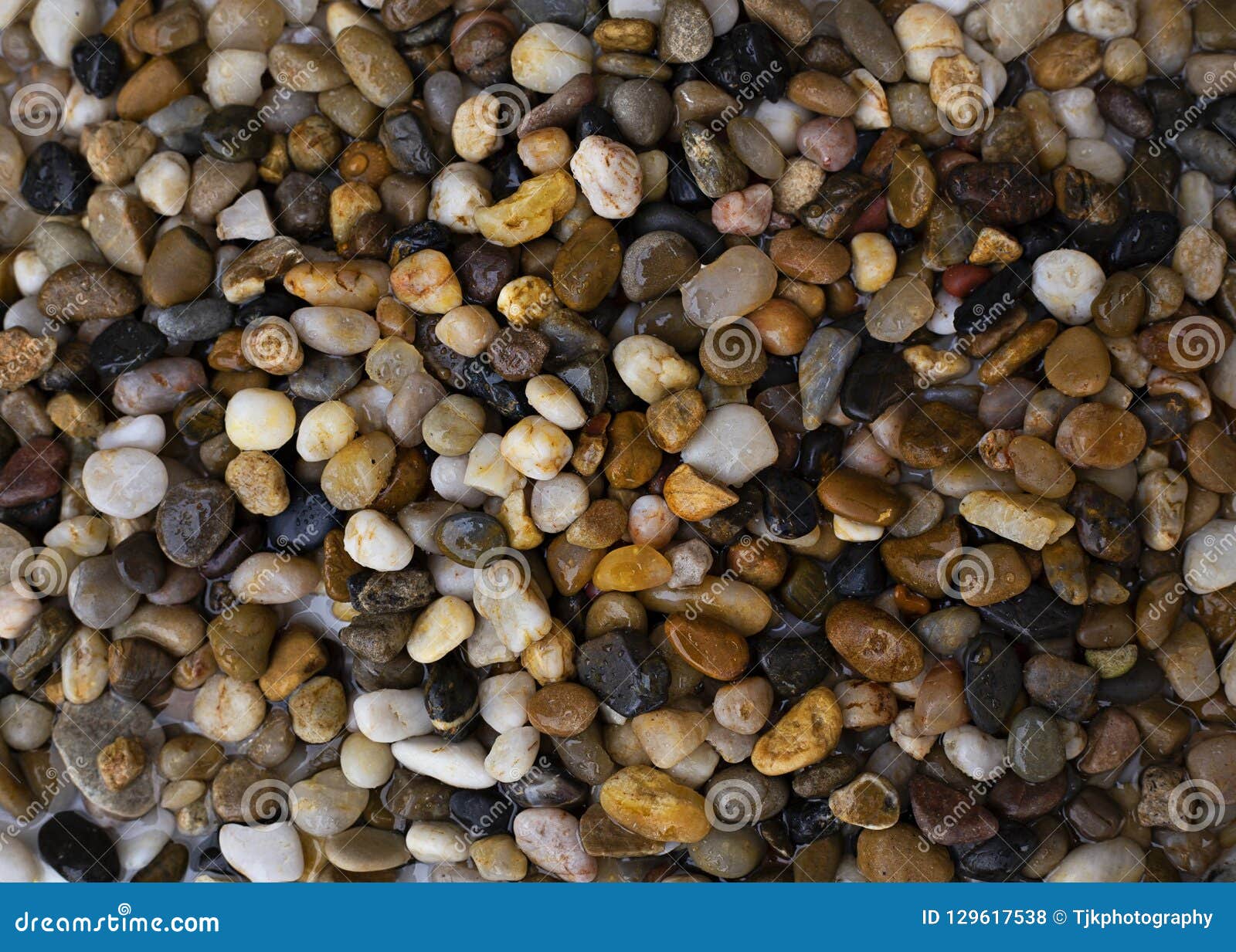 Various Coloured Pebbles on a Beach Stock Photo - Image of shape, stone ...
