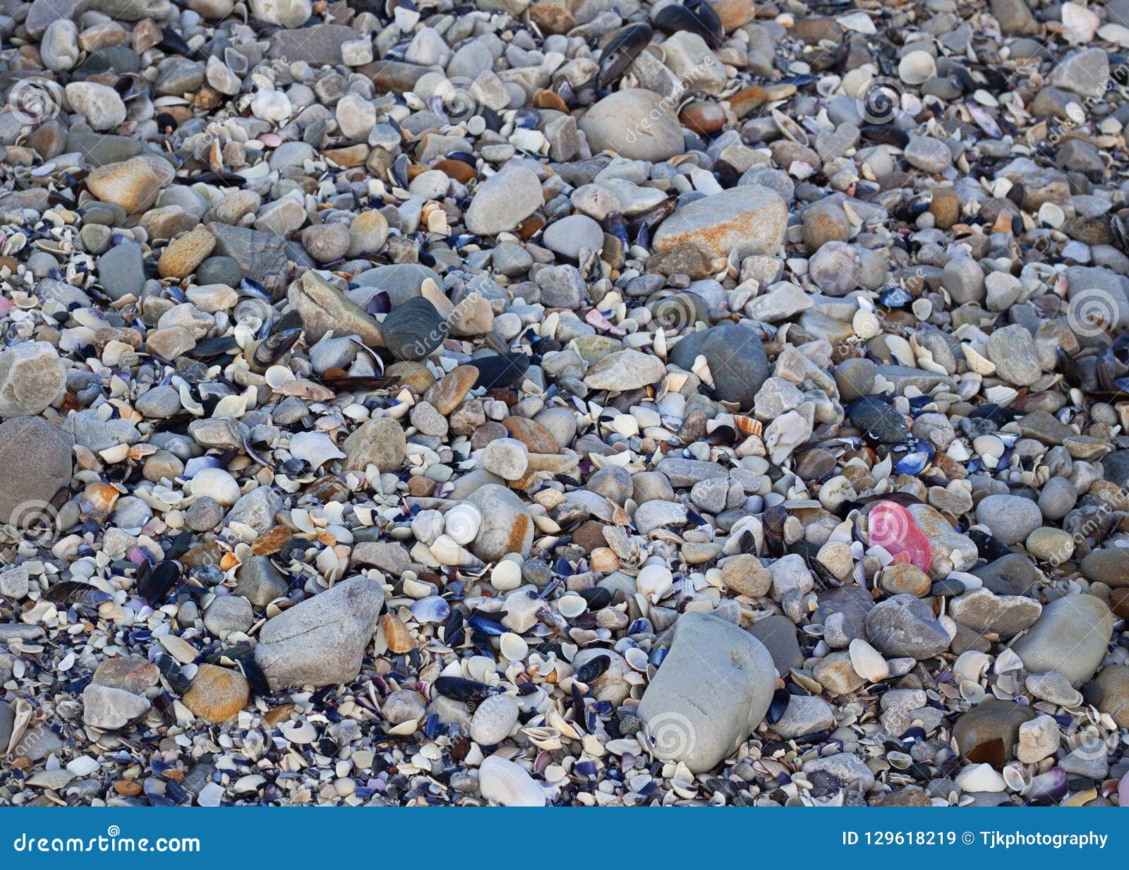 Various Coloured Pebbles on a Beach Stock Image - Image of background ...