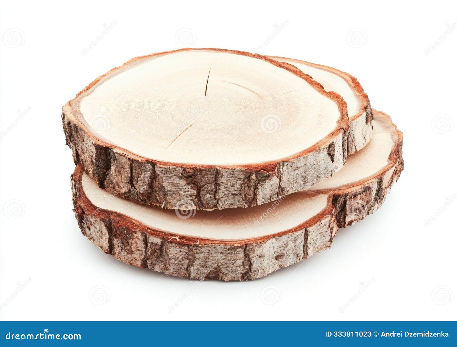 Various Cross Sections of Tree Trunks Flying on a White Background ...