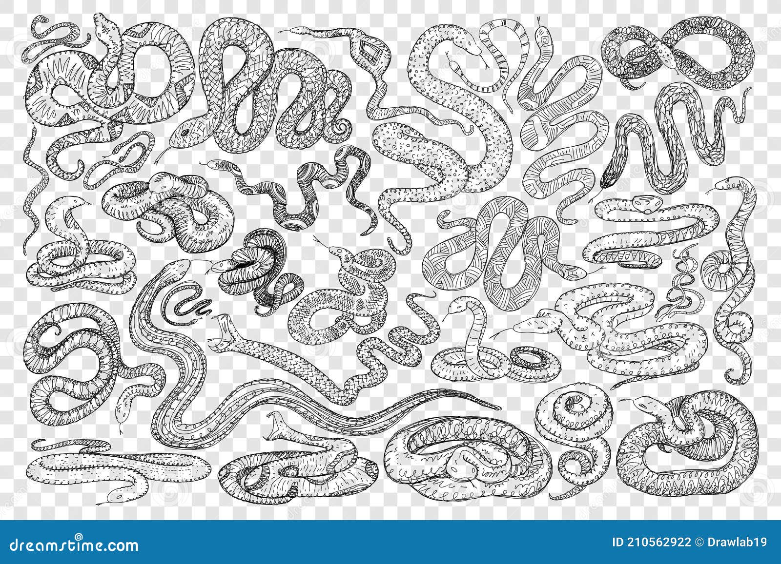 Various Dangerous Snakes Doodle Set Stock Vector - Illustration of ...