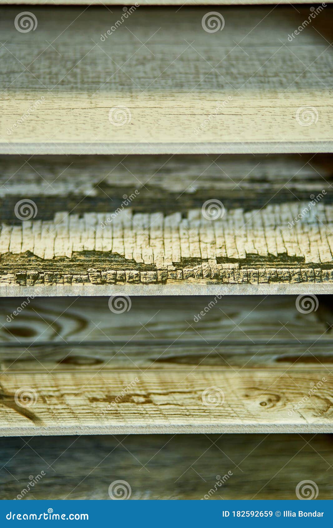 Various Decorative Tiles Samples. Colorful Samples of a Stone Tile in ...