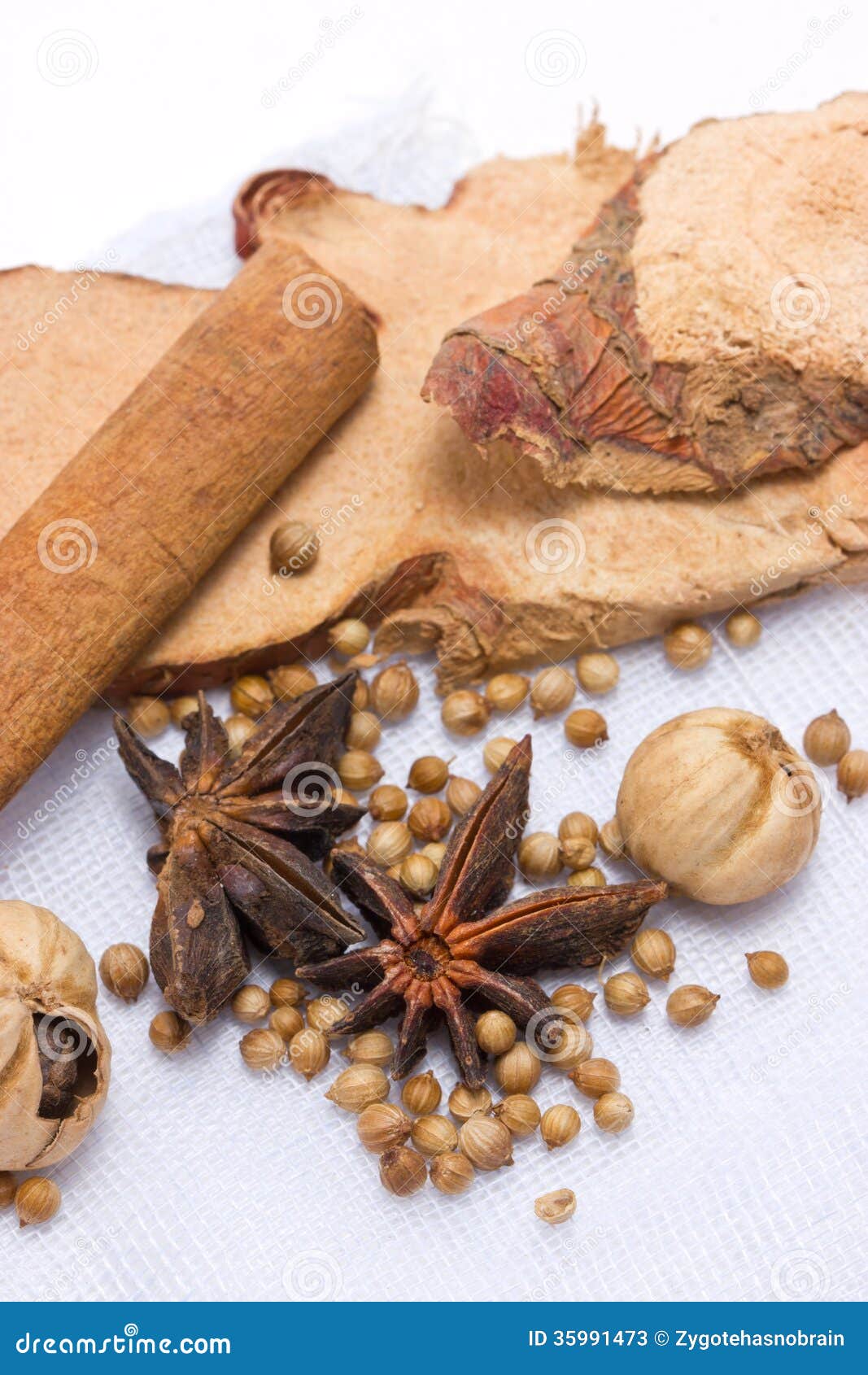 Various Dried Spices. stock image. Image of baking, aromatic - 35991473