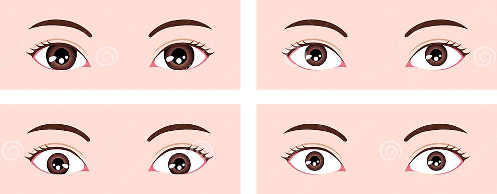 Various Eye Shapes Different Eyeball Size and Position Vector ...