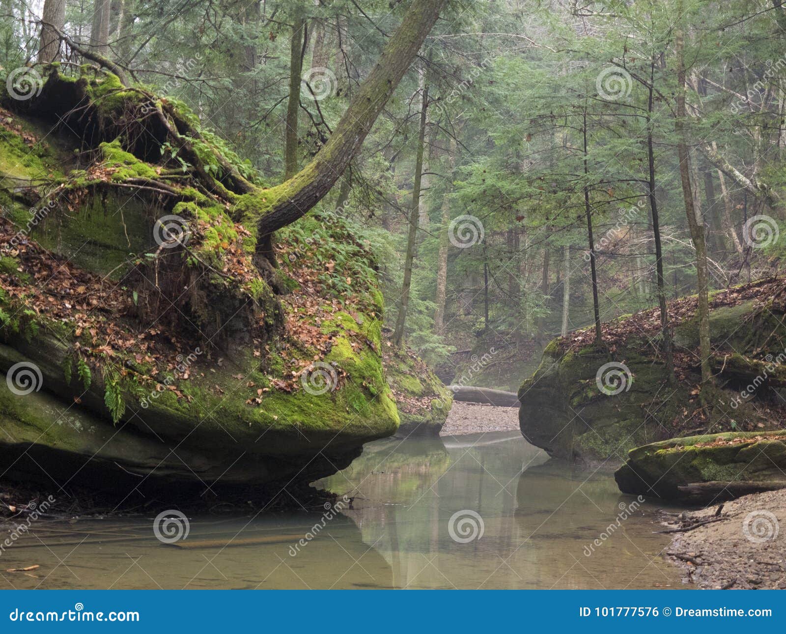 Rock Formations with Vegetation and Trees Stock Photo - Image of empty ...