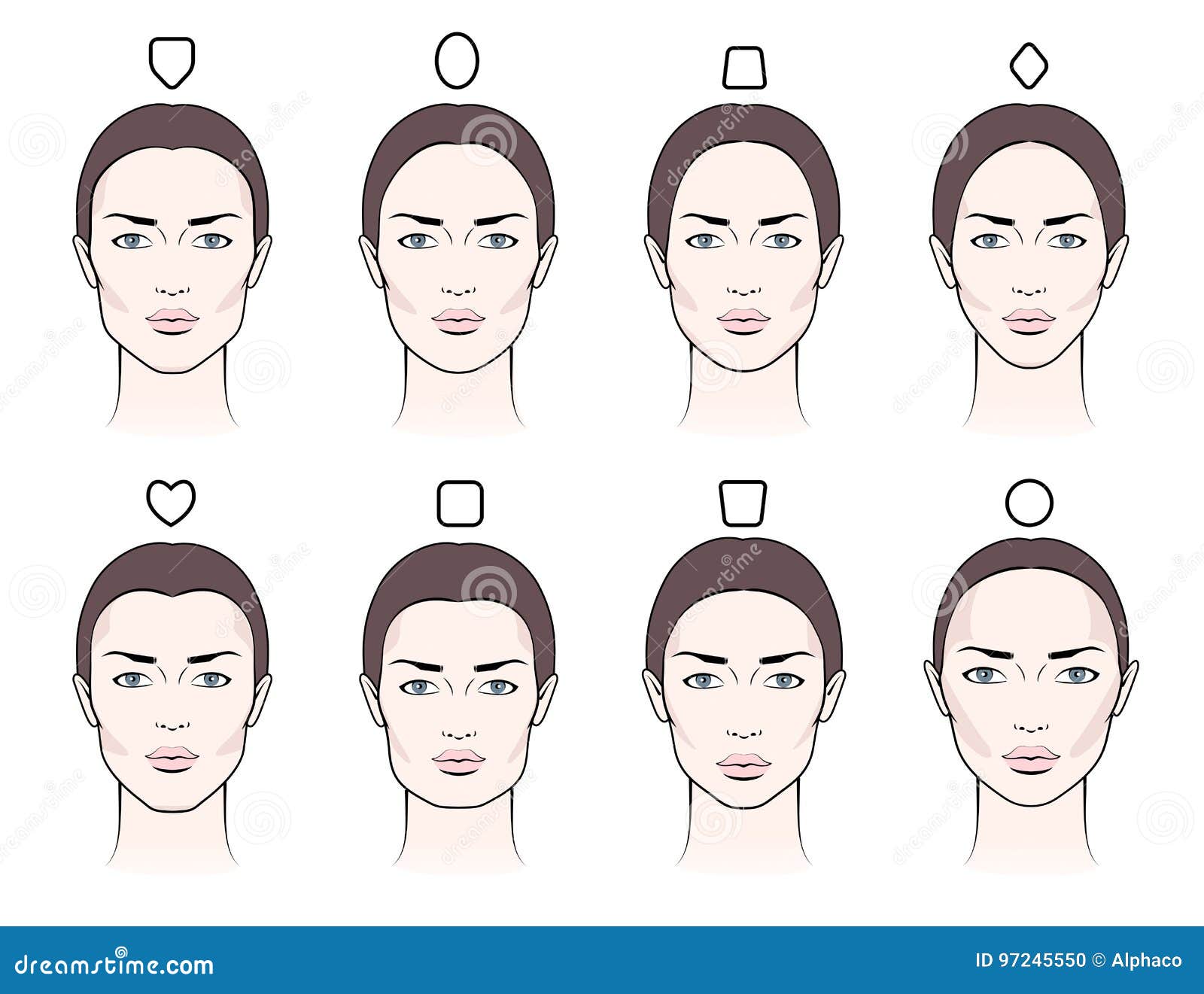 Contouring For Various Face Shapes. Vector Illustration | CartoonDealer ...