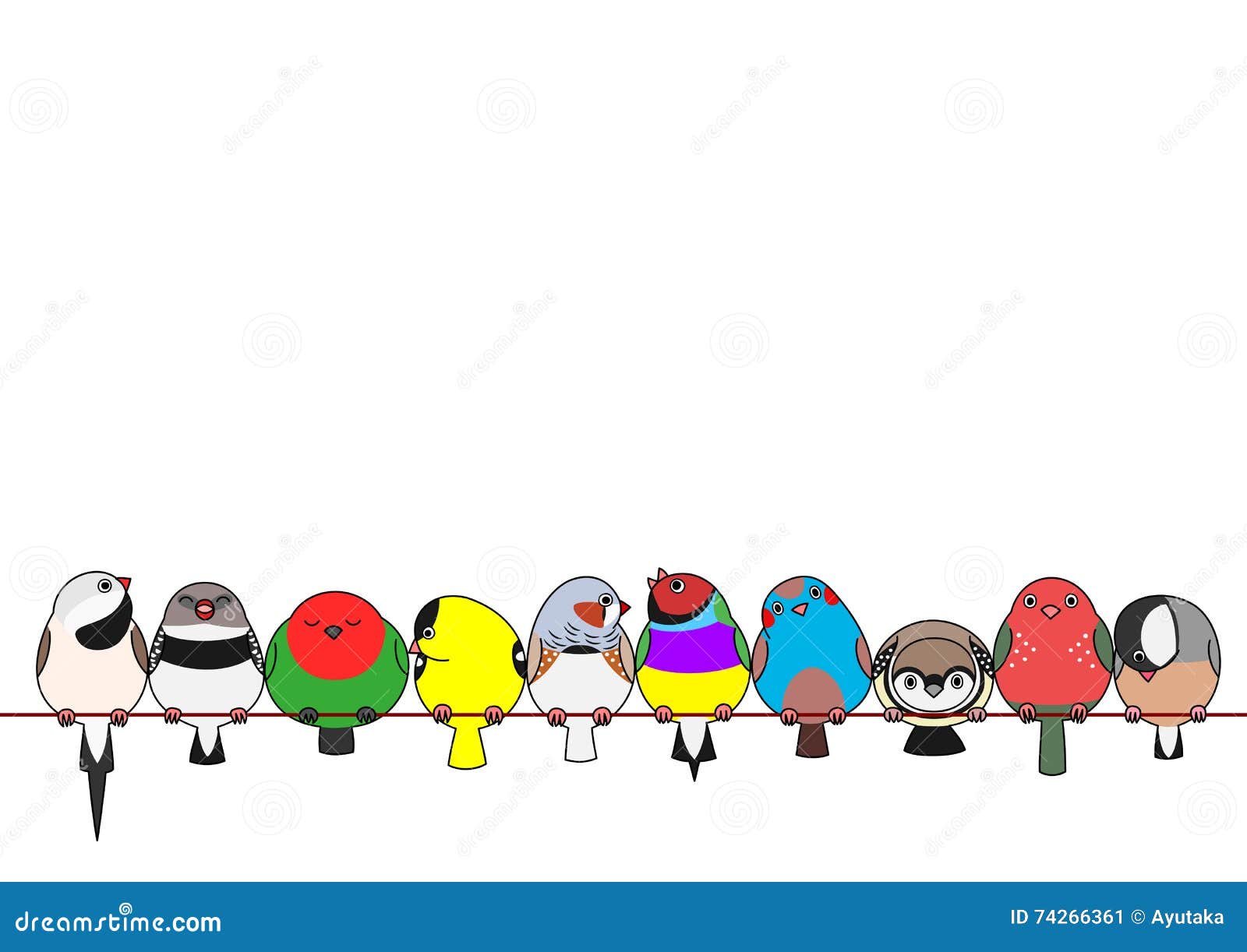 Various finches in a row stock vector. Illustration of java - 74266361