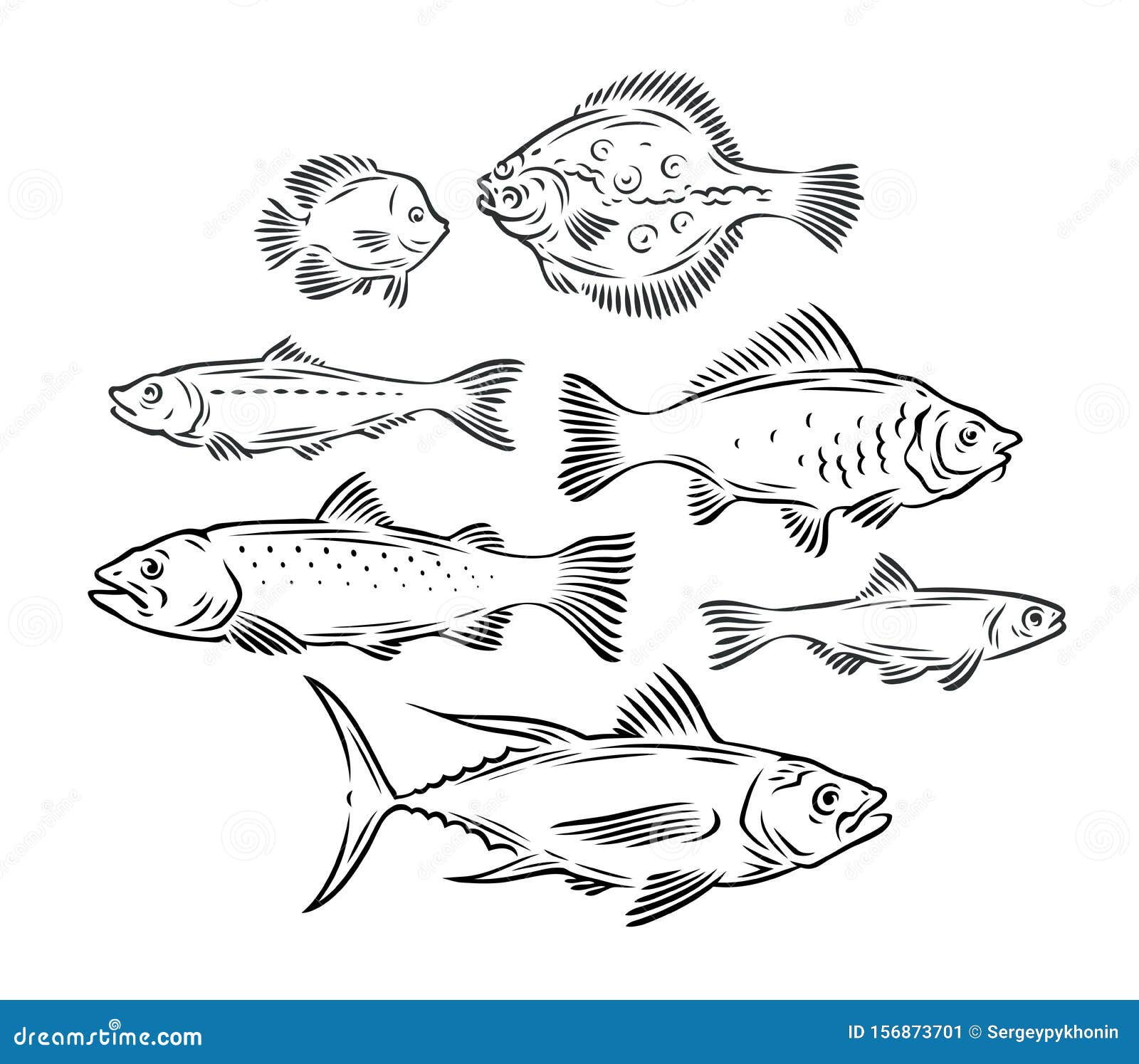 Various Fish Set. Seafood, Fishing Sketch Vector Illustration ...
