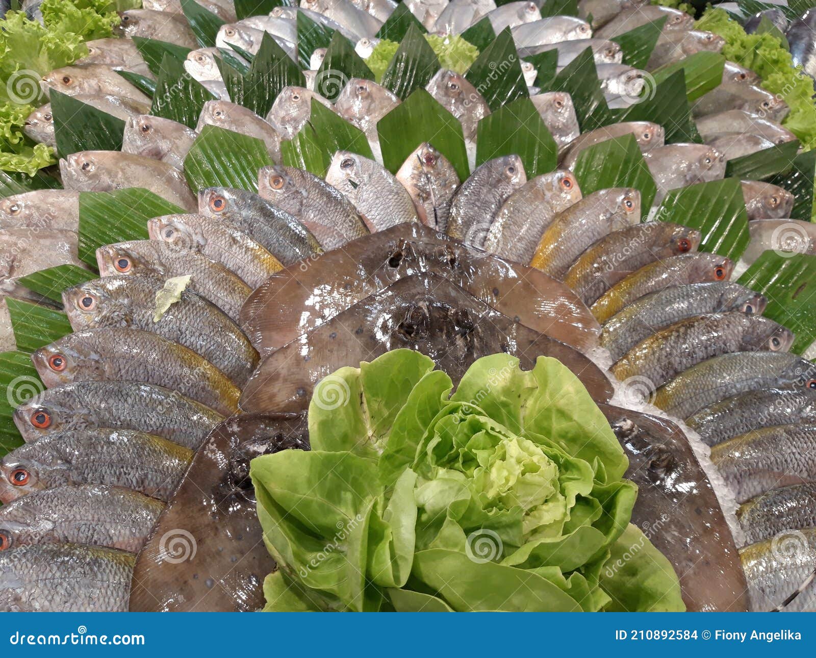 Various Fish in Supermarket Fresh Section Stock Photo - Image of leaf ...