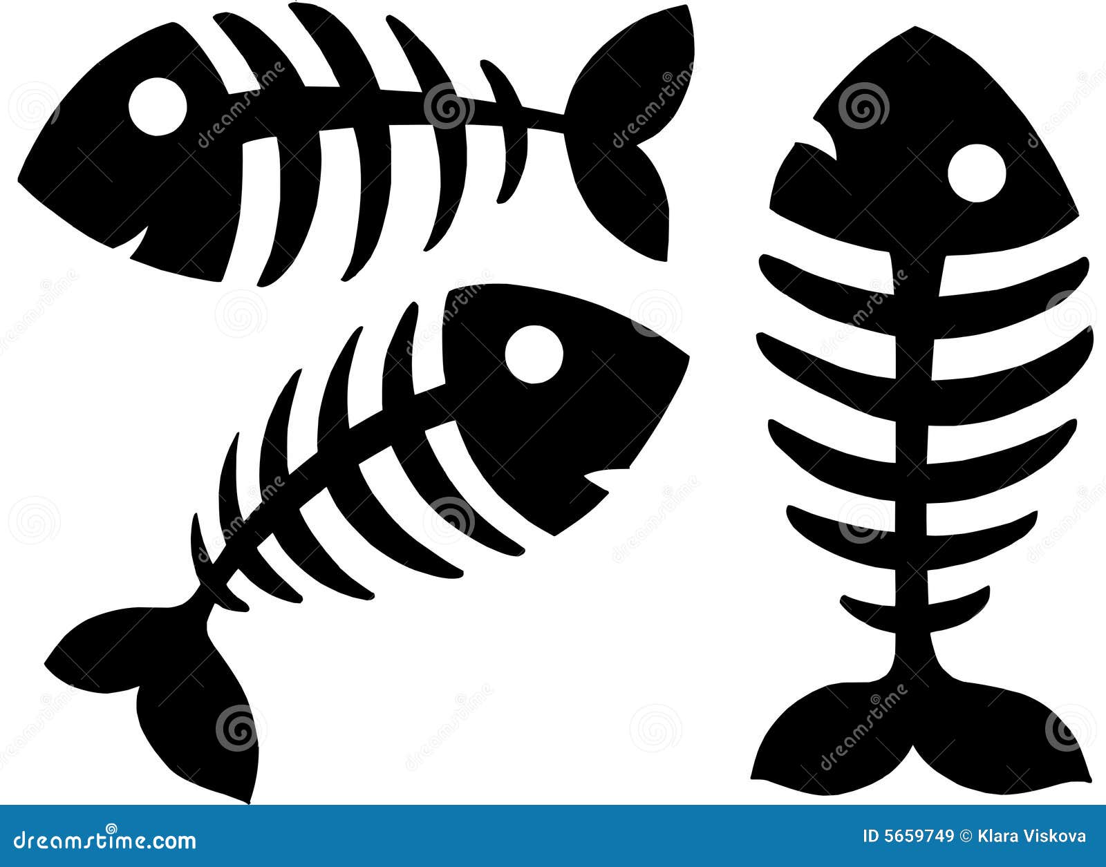 Various Fishbones Royalty Free Stock Images - Image: 5659749