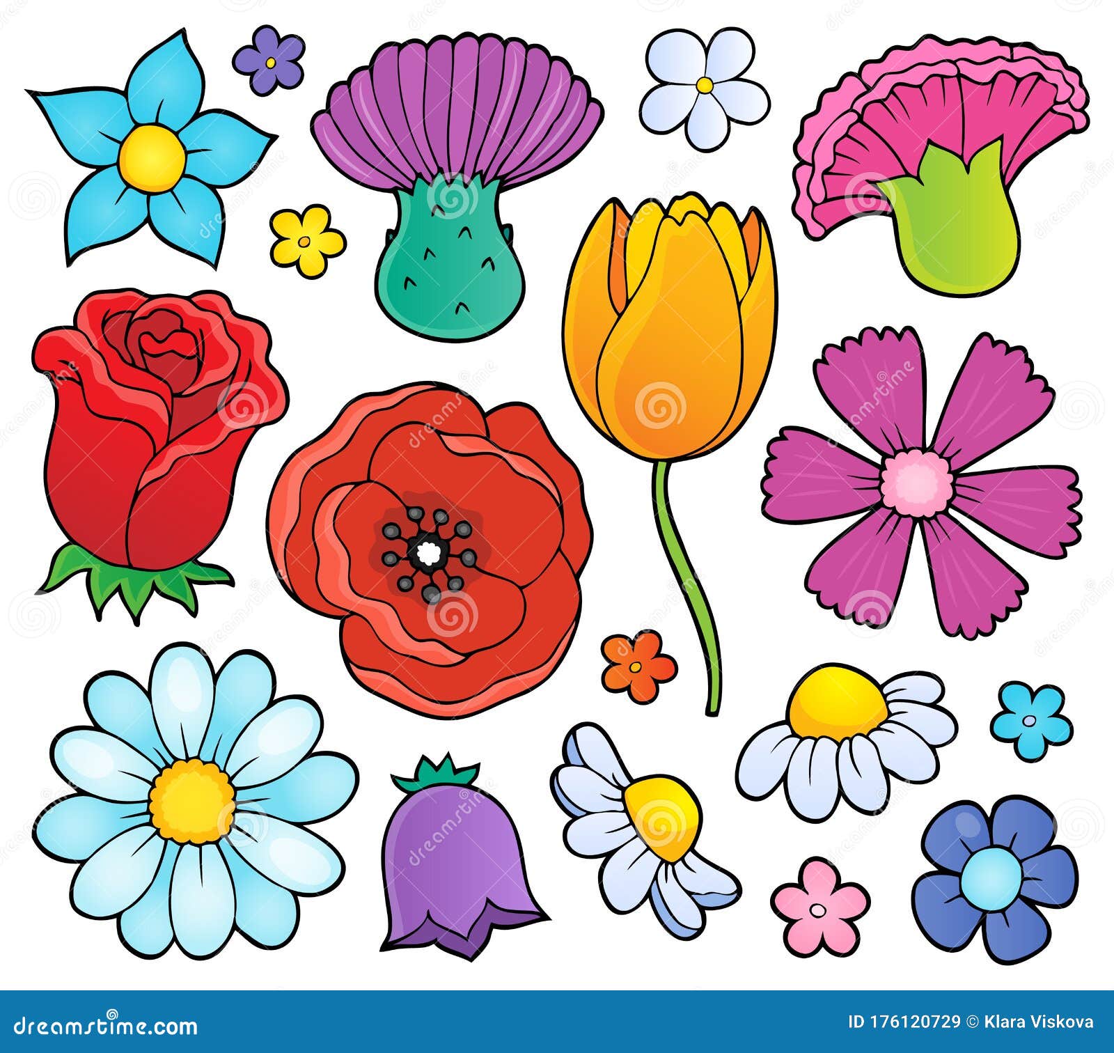 Various Flower Heads Theme Set 1 Stock Vector - Illustration of colour ...