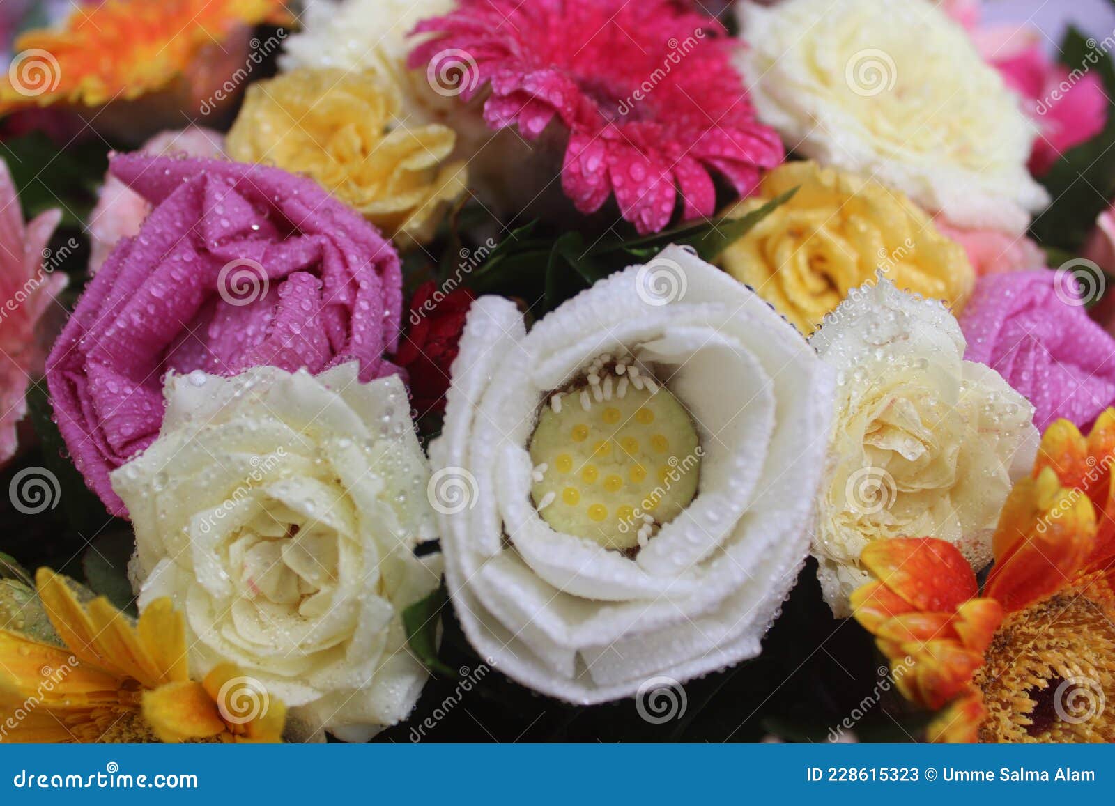 Various Flowers with Dew Drops , Wallpaper Love Theme Stock Image ...