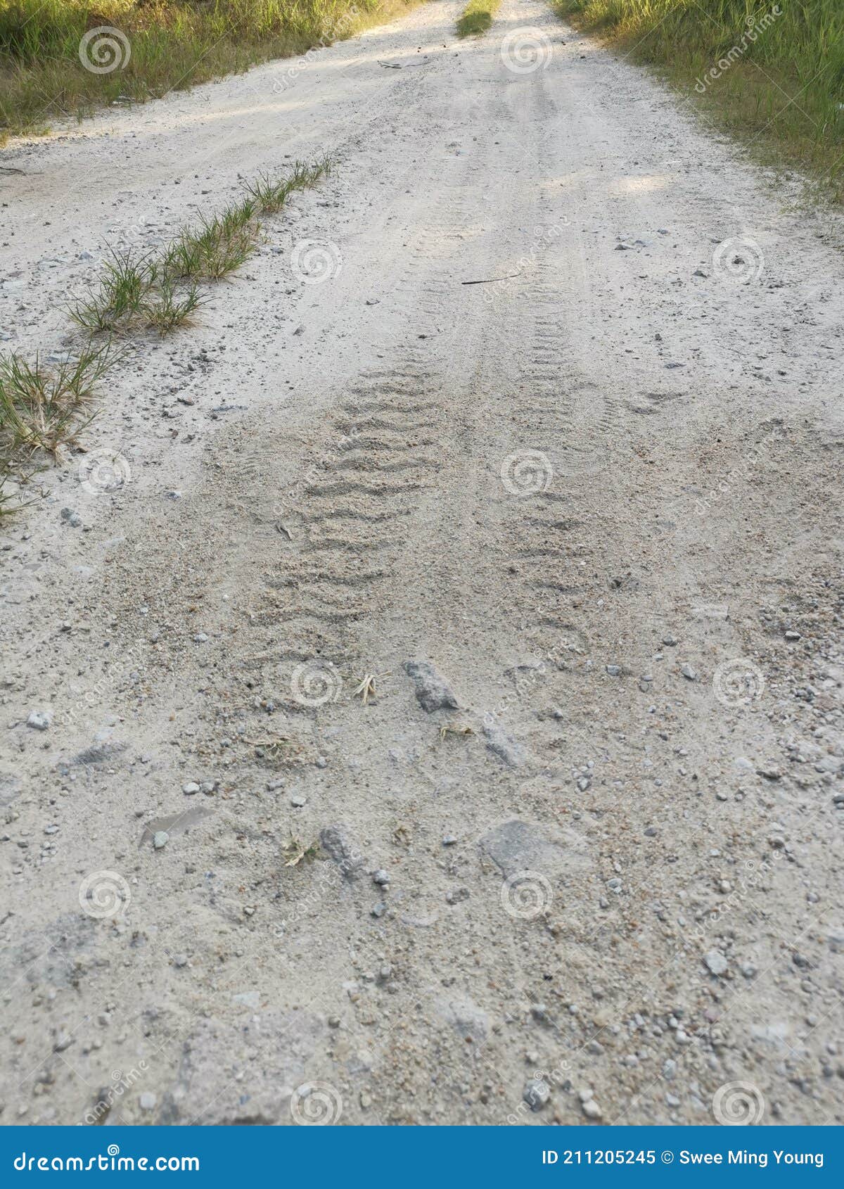 Various Foot Mark Trails on the Rural Sandy Road. Stock Image - Image ...