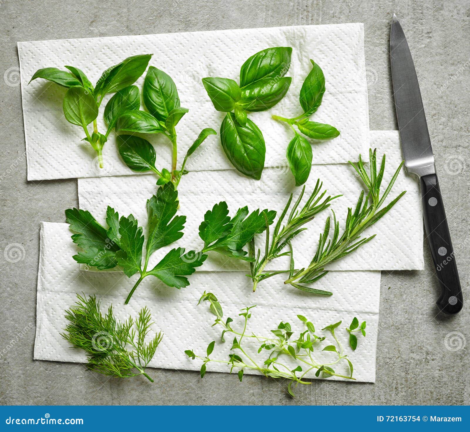 Various fresh herbs stock photo. Image of condiment, gray - 72163754
