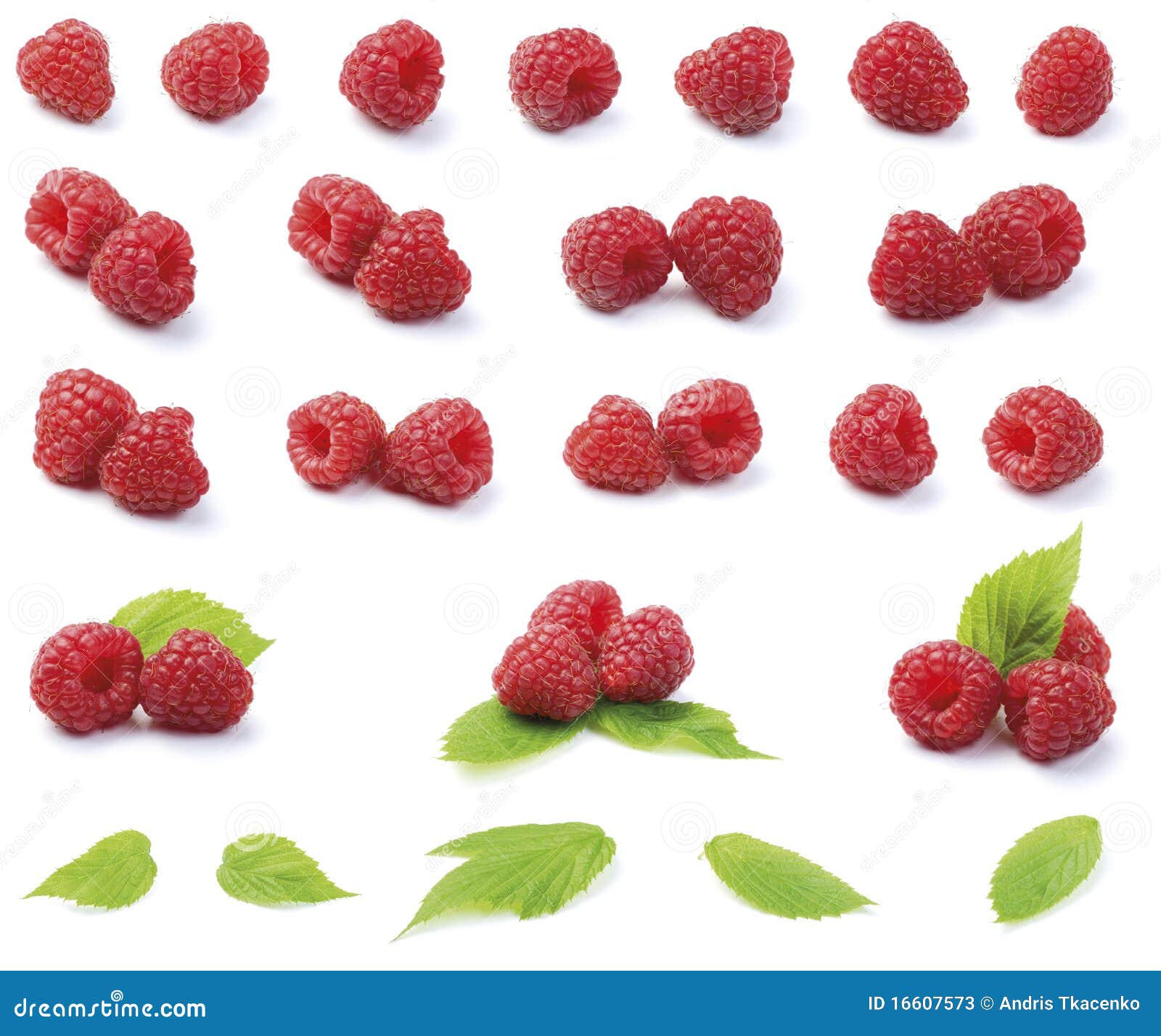 Various fresh raspberries stock image. Image of organic - 16607573