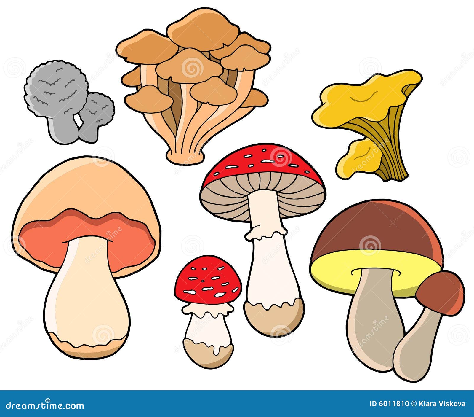 Fungi Cartoon Vector | CartoonDealer.com #4090911
