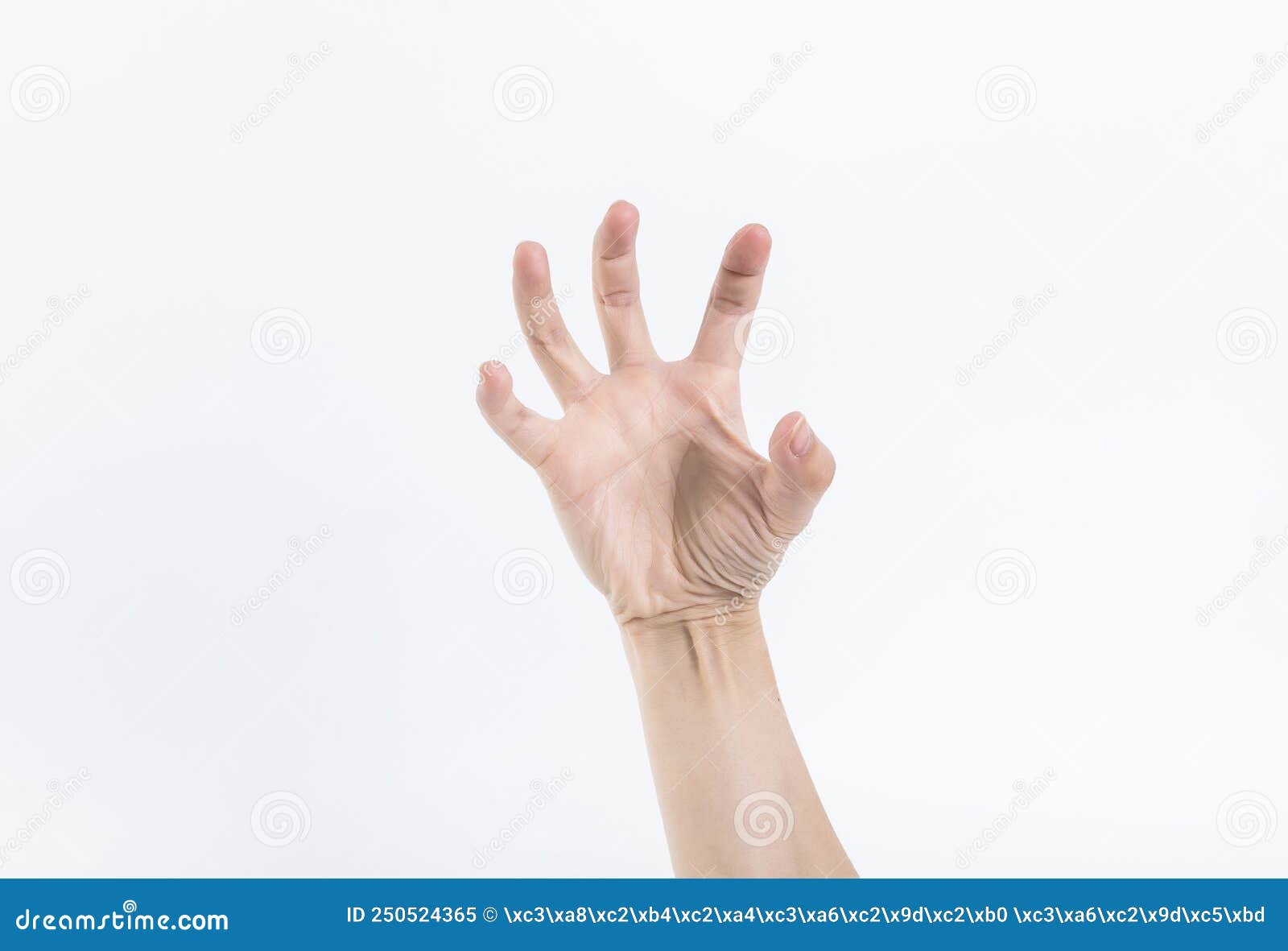 The Various Gestures of One Hand Stock Image - Image of gesture, handle ...
