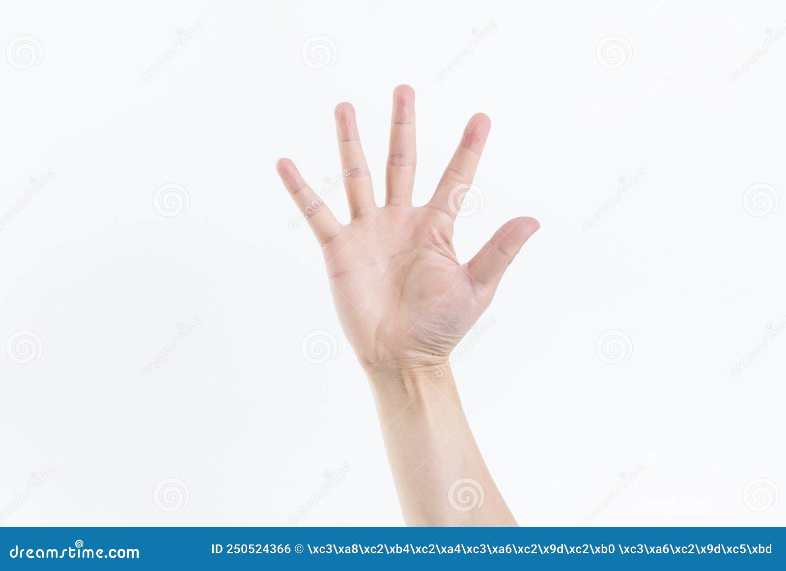 The Various Gestures of One Hand Stock Photo - Image of grab, clear ...