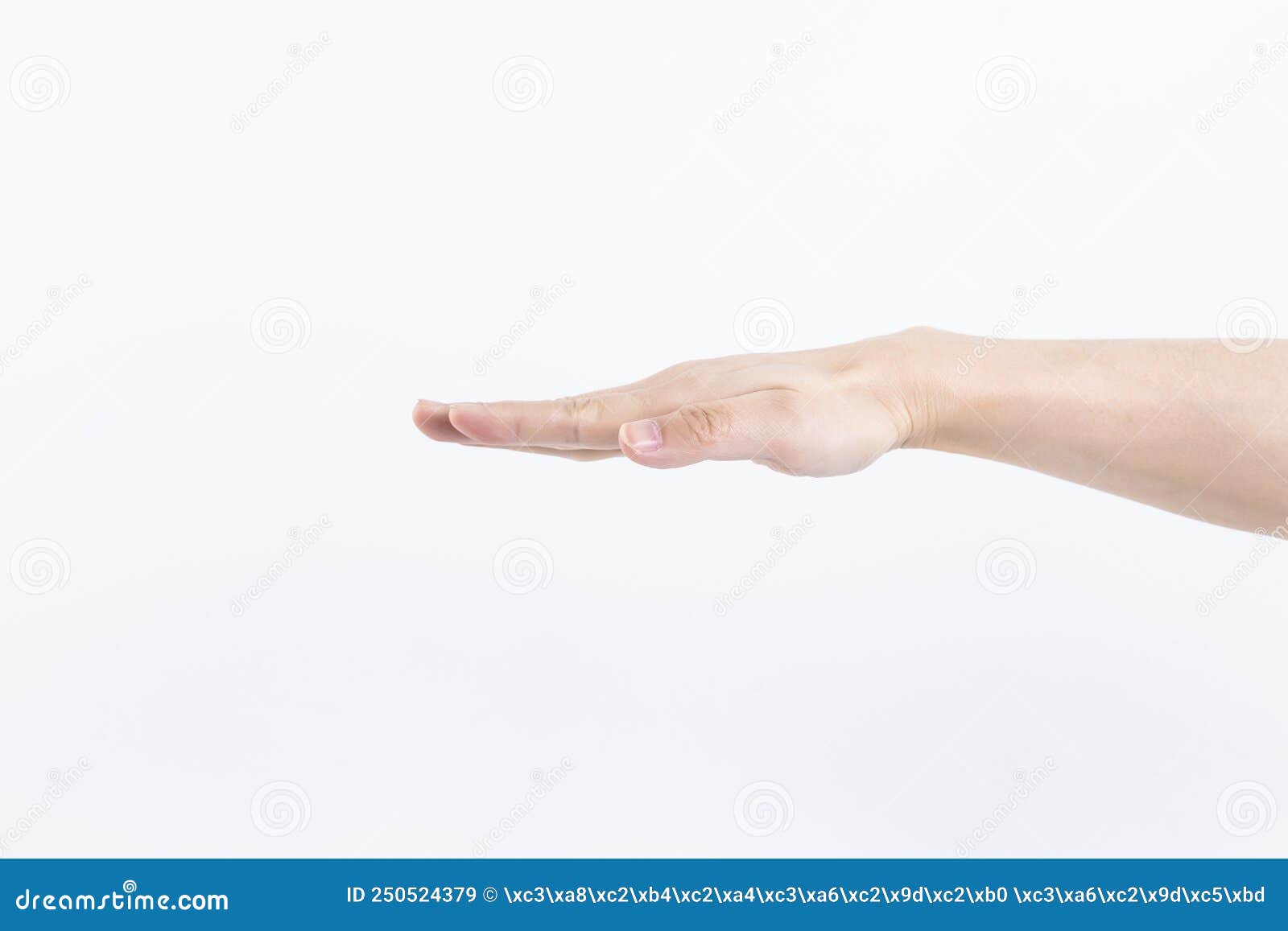 The Various Gestures of One Hand Stock Image - Image of adult, female ...