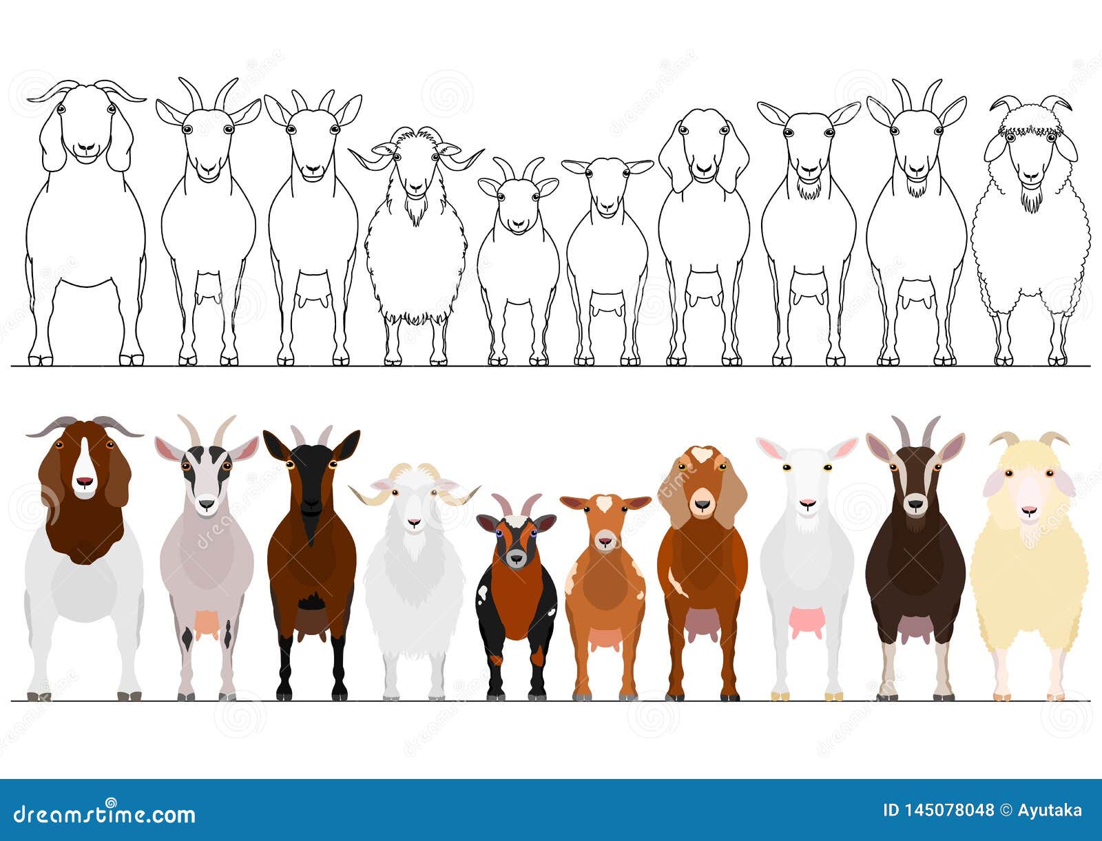 Various goats border set stock vector. Illustration of goat - 145078048
