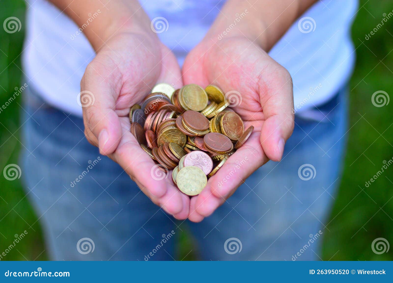Various Gold Coins on Both Palms Stock Photo - Image of plant, business ...