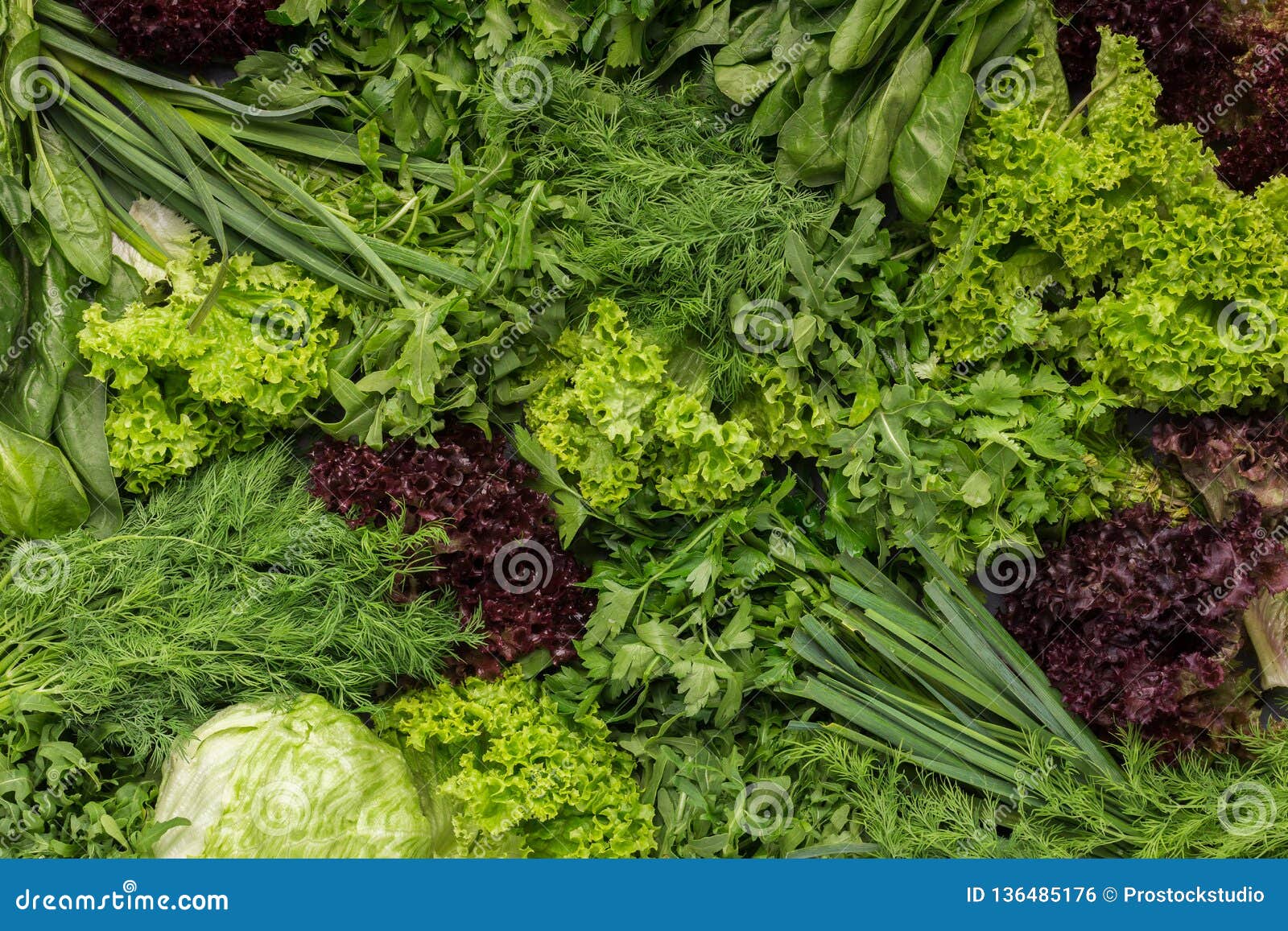 Various Greenery on Gray Background, Top View Stock Photo - Image of ...