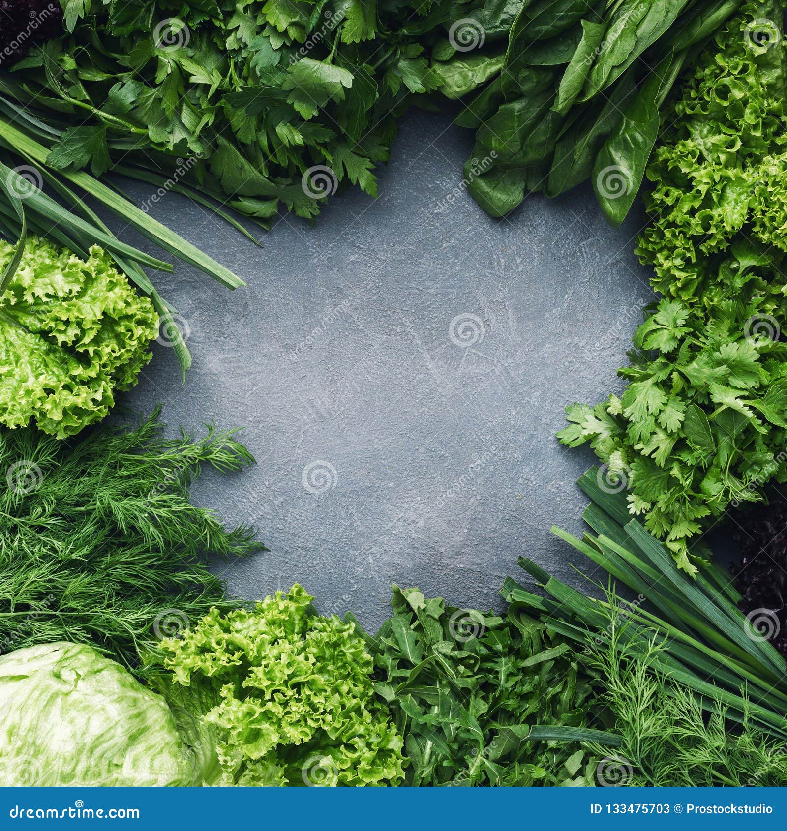 Various Greenery on Gray Background, Top View Stock Image - Image of ...