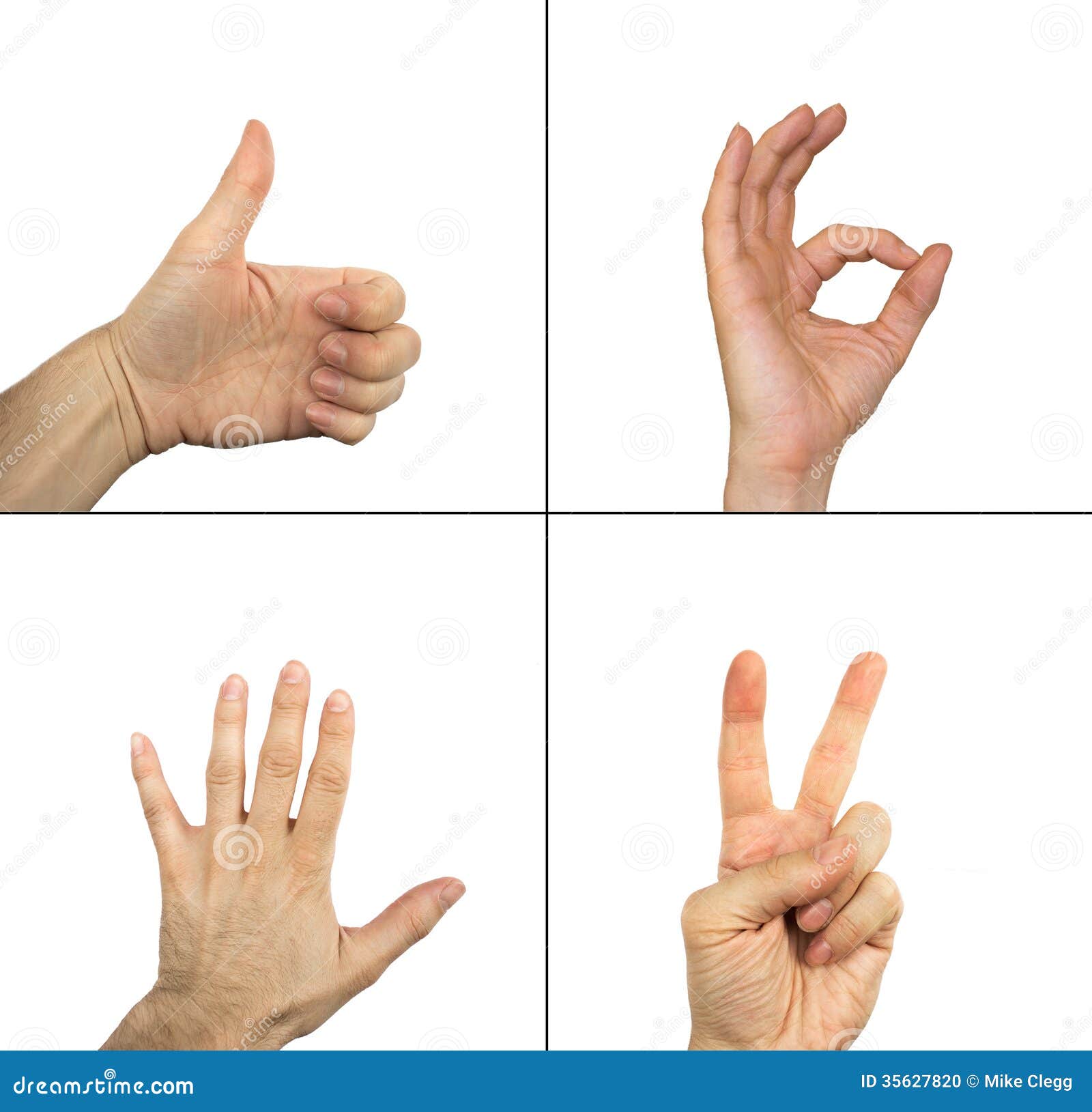Various hands on white stock photo. Image of fingers - 35627820