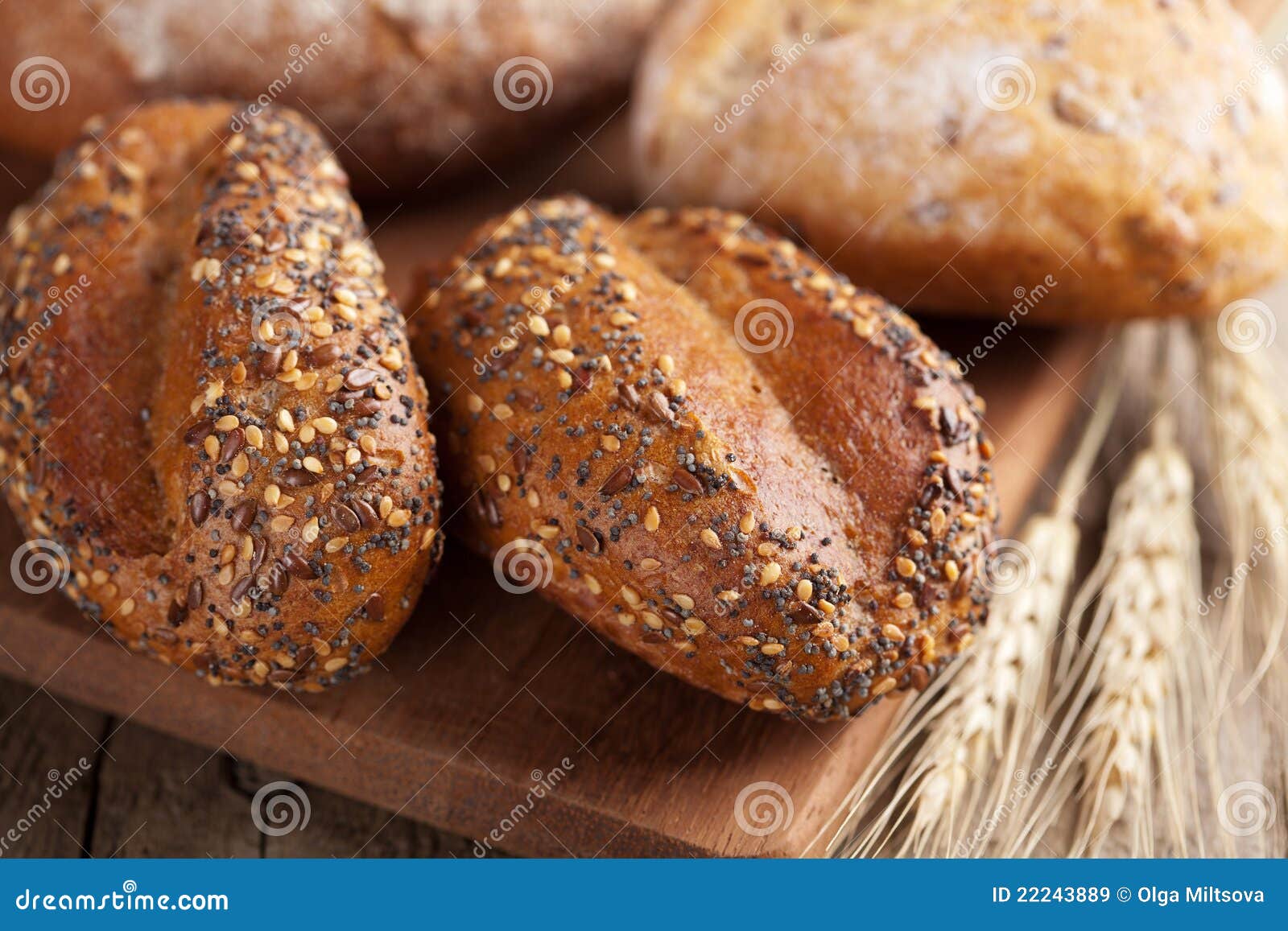 Various healthy bread stock image. Image of grocery, tasty - 22243889