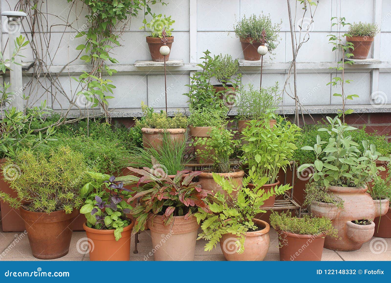 Various herbs in pots stock photo. Image of leaf, burnet - 122148332