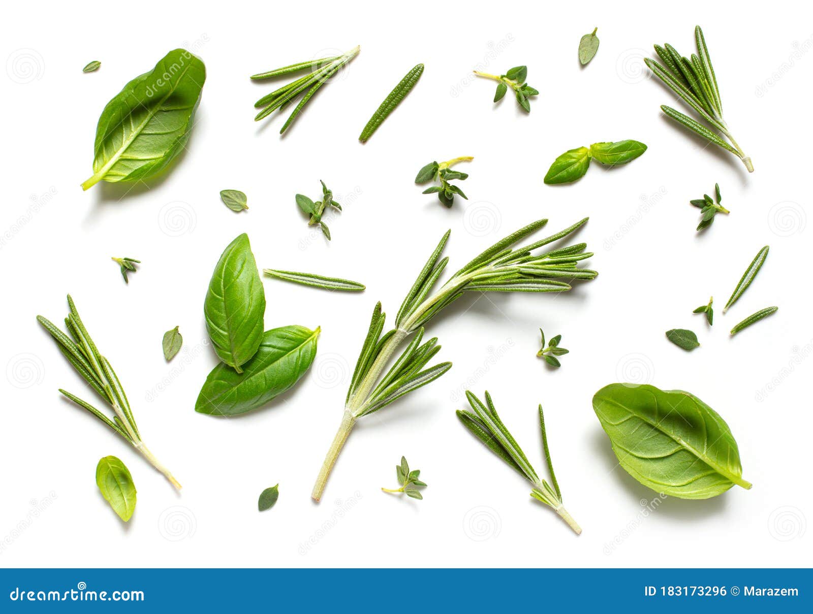 Various Herbs on White Background, Top View Stock Photo - Image of food ...