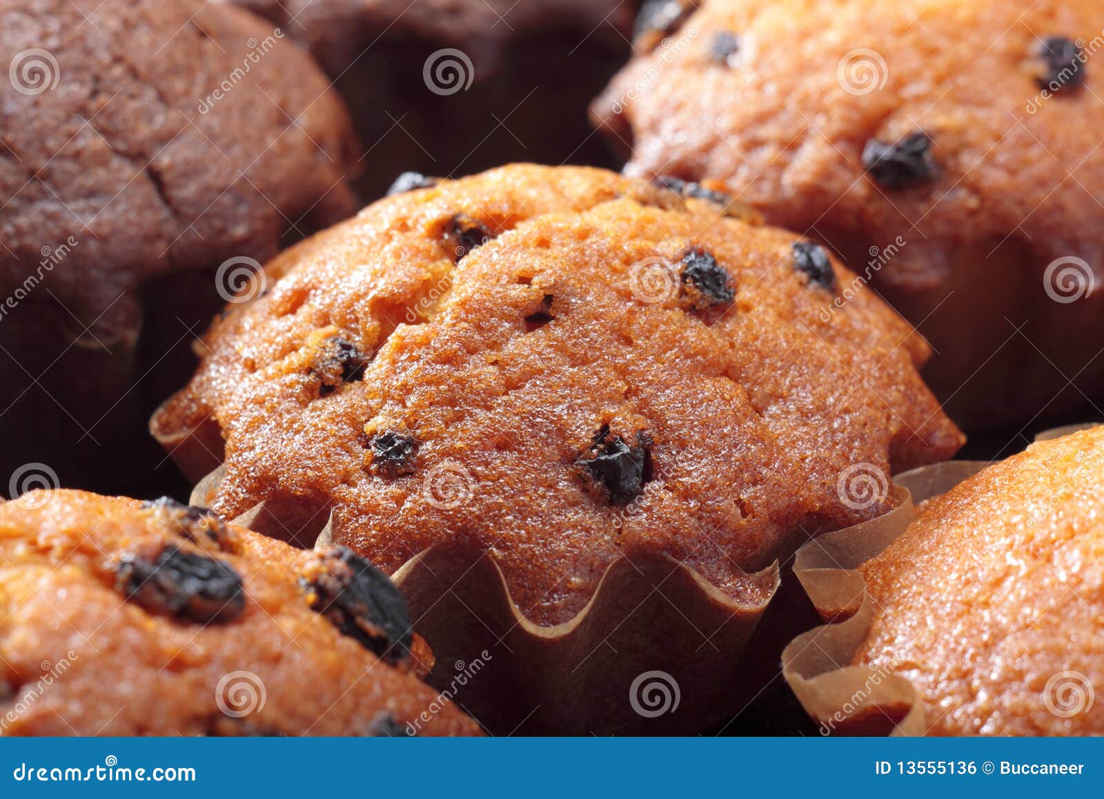 Various home made muffins stock photo. Image of mould - 13555136