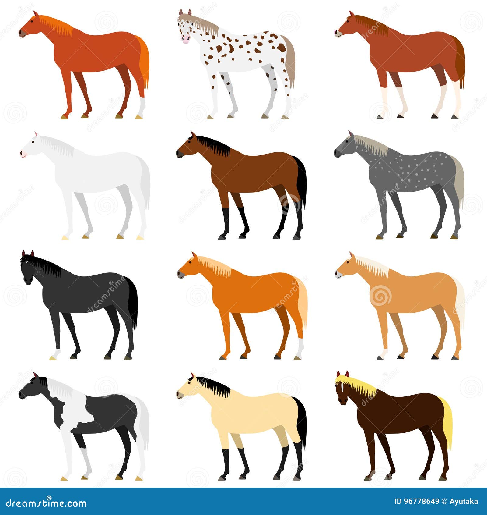 Various horse colors stock vector. Illustration of liver - 96778649