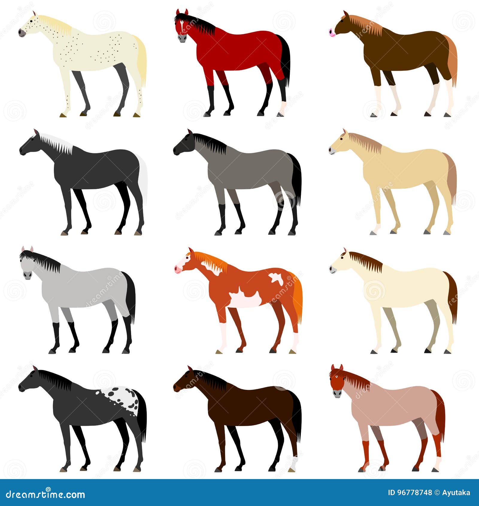 Various horse colors stock vector. Illustration of horse - 96778748