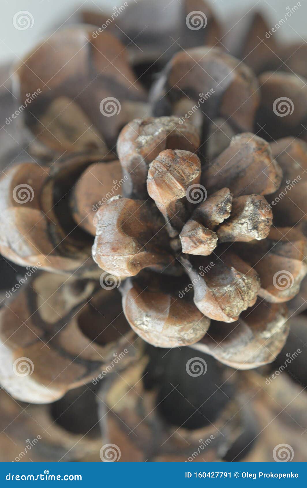 Various Household Textures and Objects Close-up Stock Image - Image of ...