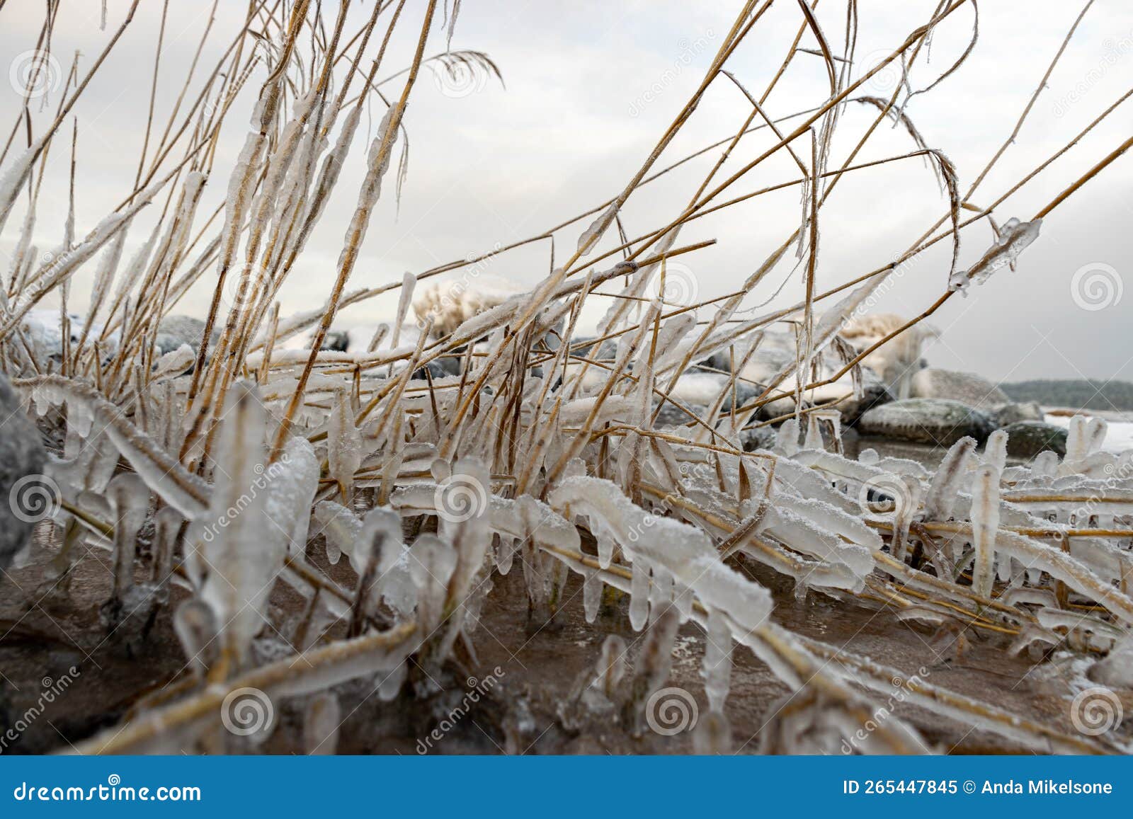 Various Ice Formations on Rocks and Sandbars on the Seashore, Ice ...