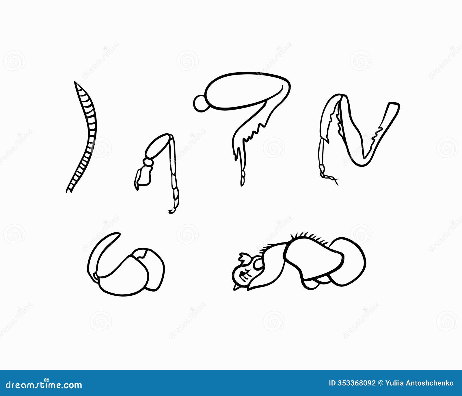 Various Illustrations Depict Different Types of Insect Limbs ...