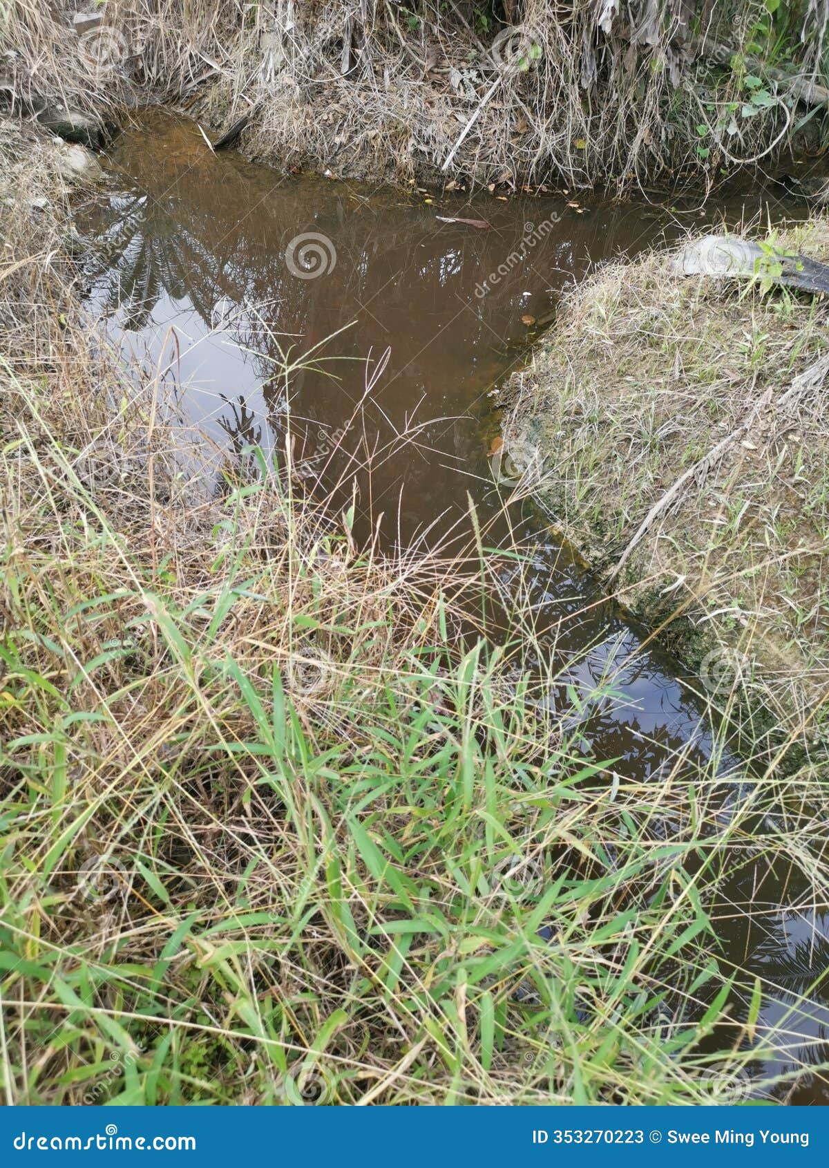 Various Scene of the Reflective Surface Puddle or Rural Drain at the ...