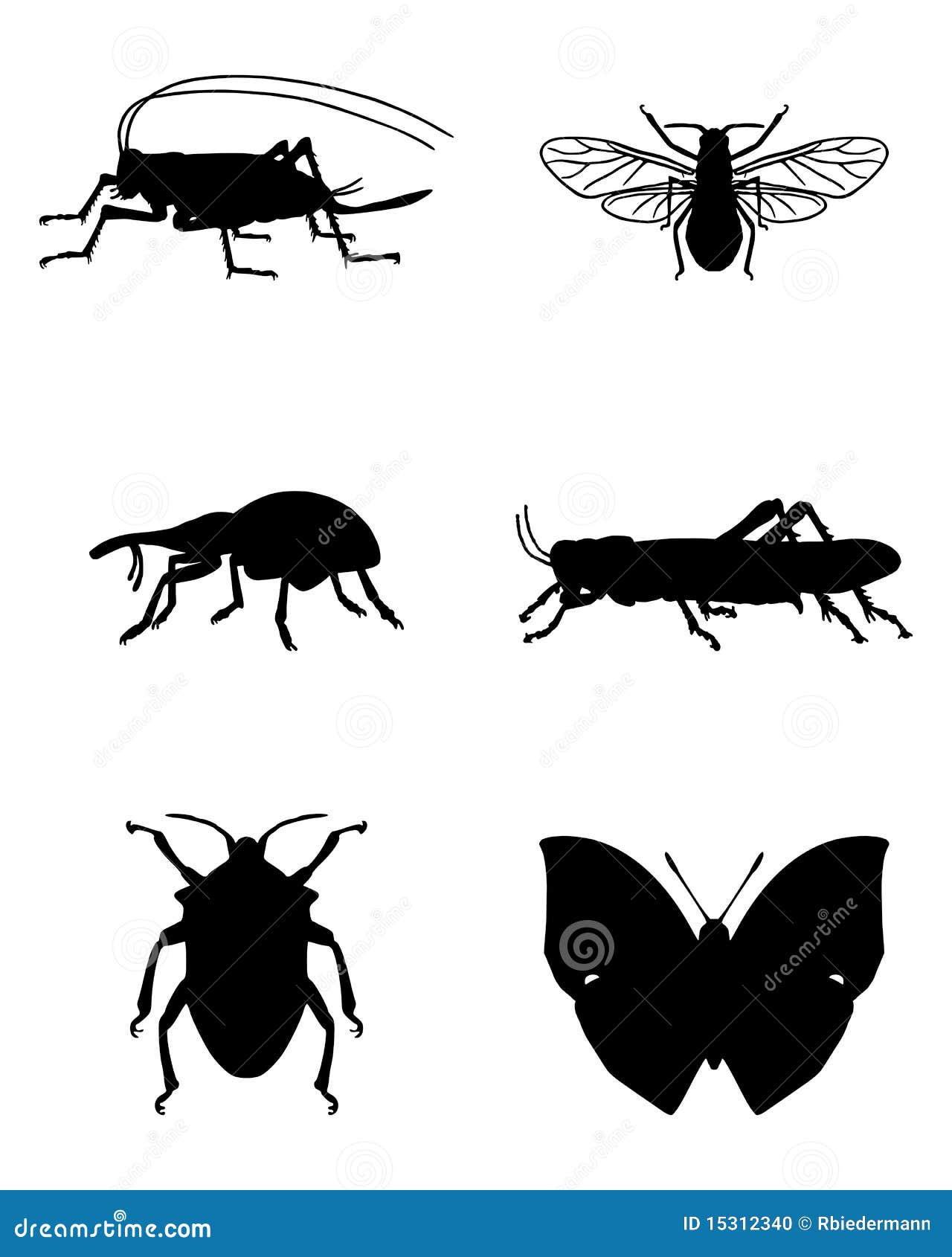 Various Insects Flat Vector Illustrations Set | CartoonDealer.com ...