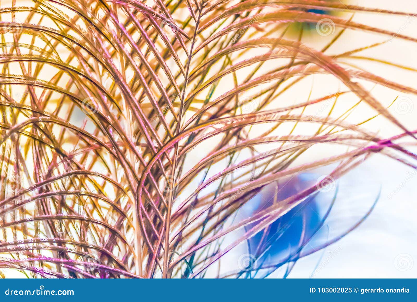 Various Intertwined and Diverse Sets Stock Image - Image of factory ...