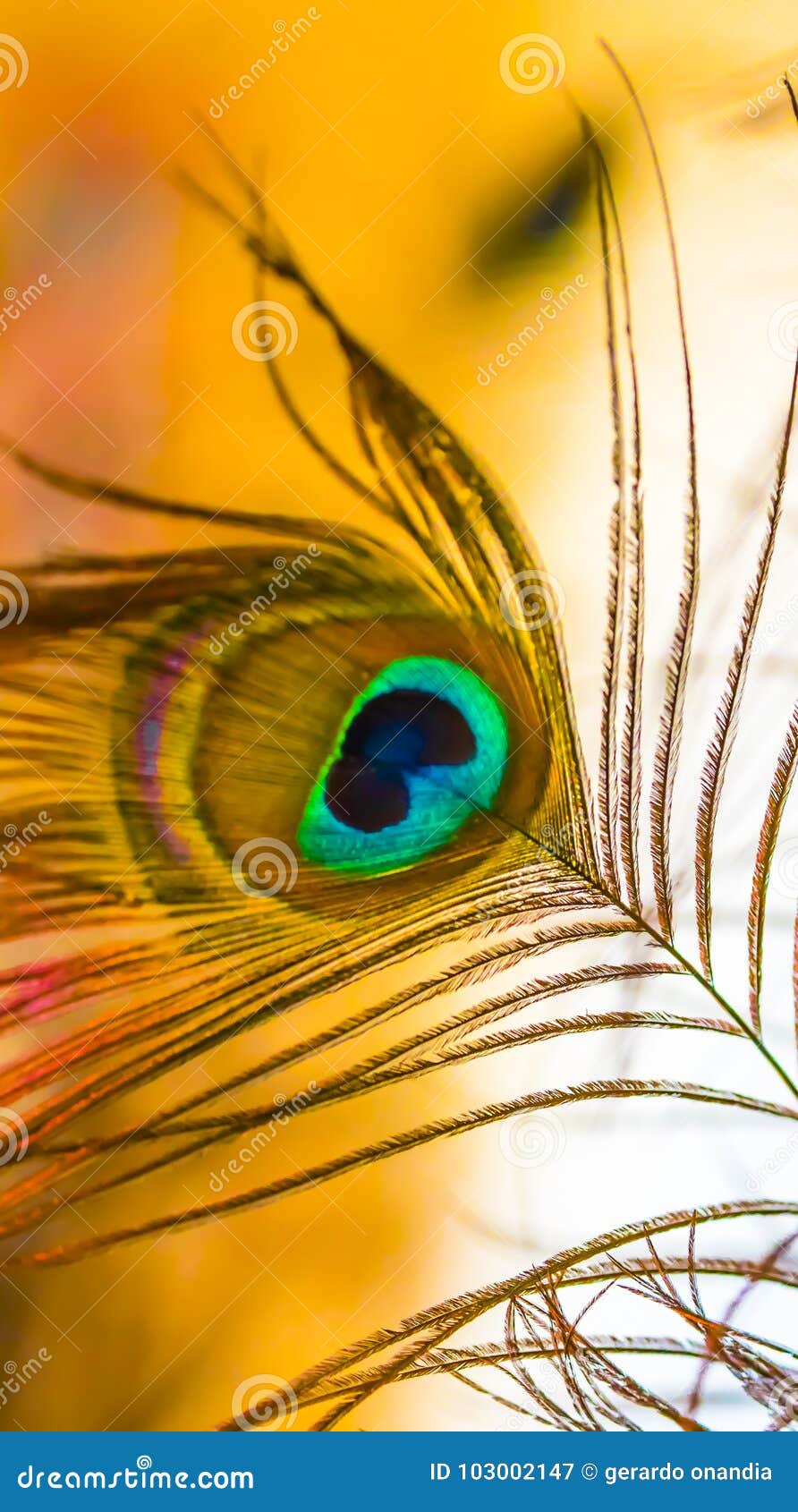 Various Intertwined and Diverse Sets Stock Image - Image of autumnal ...